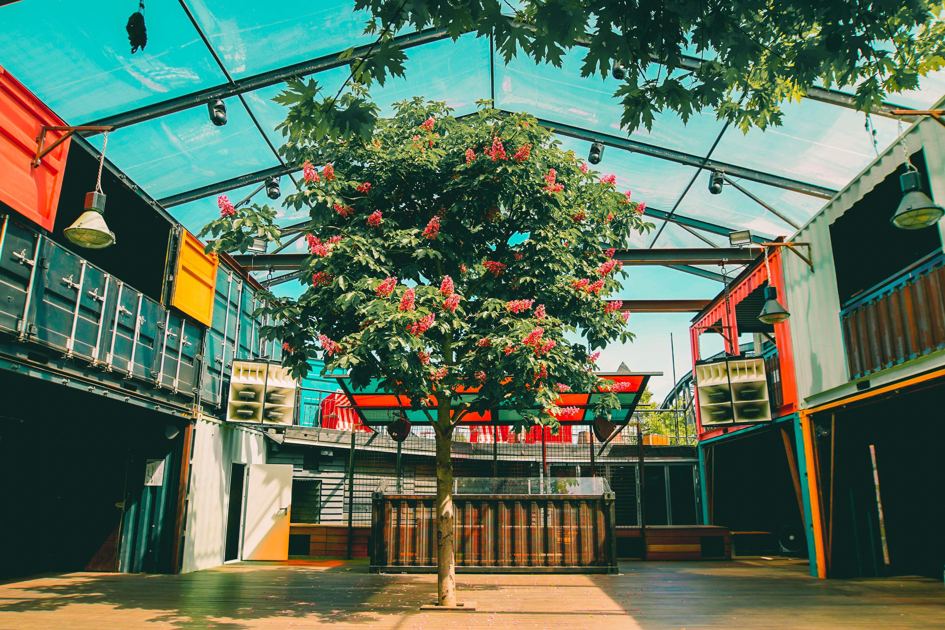 Else OPEN AIR: The Lady Machine, Pablo Bozzi, Olivia Mendez, Key Clef ...