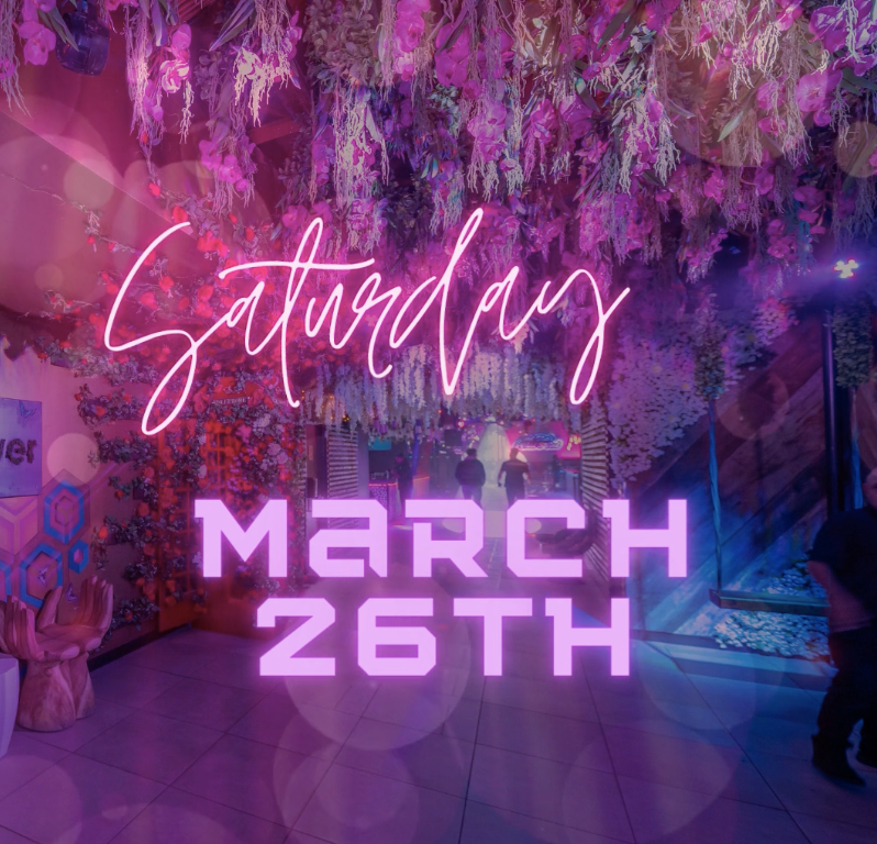 Zebbies Day II en Zebbie's Garden, Washington DC