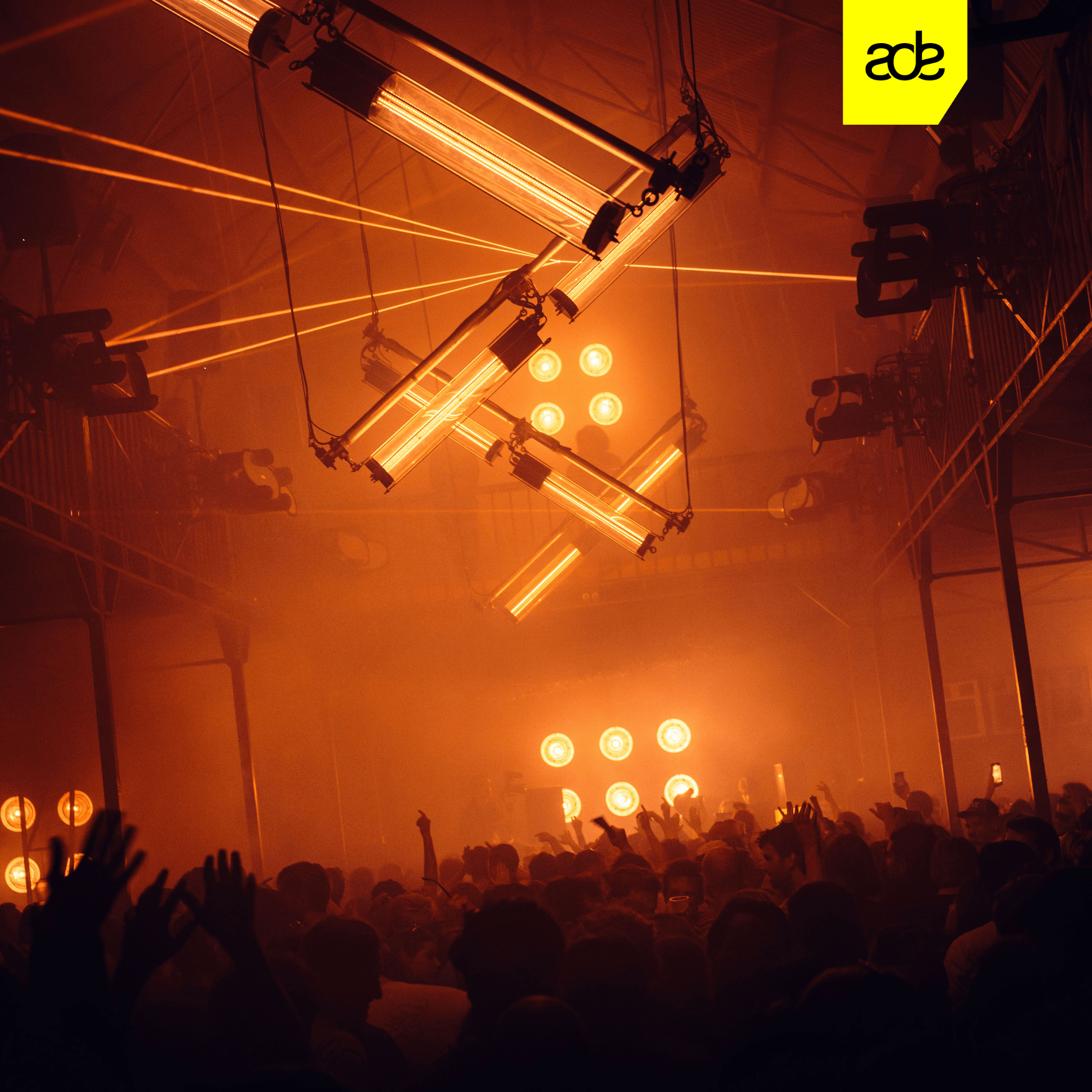 Into the Woods ADE at Ndsm Wharf, Amsterdam