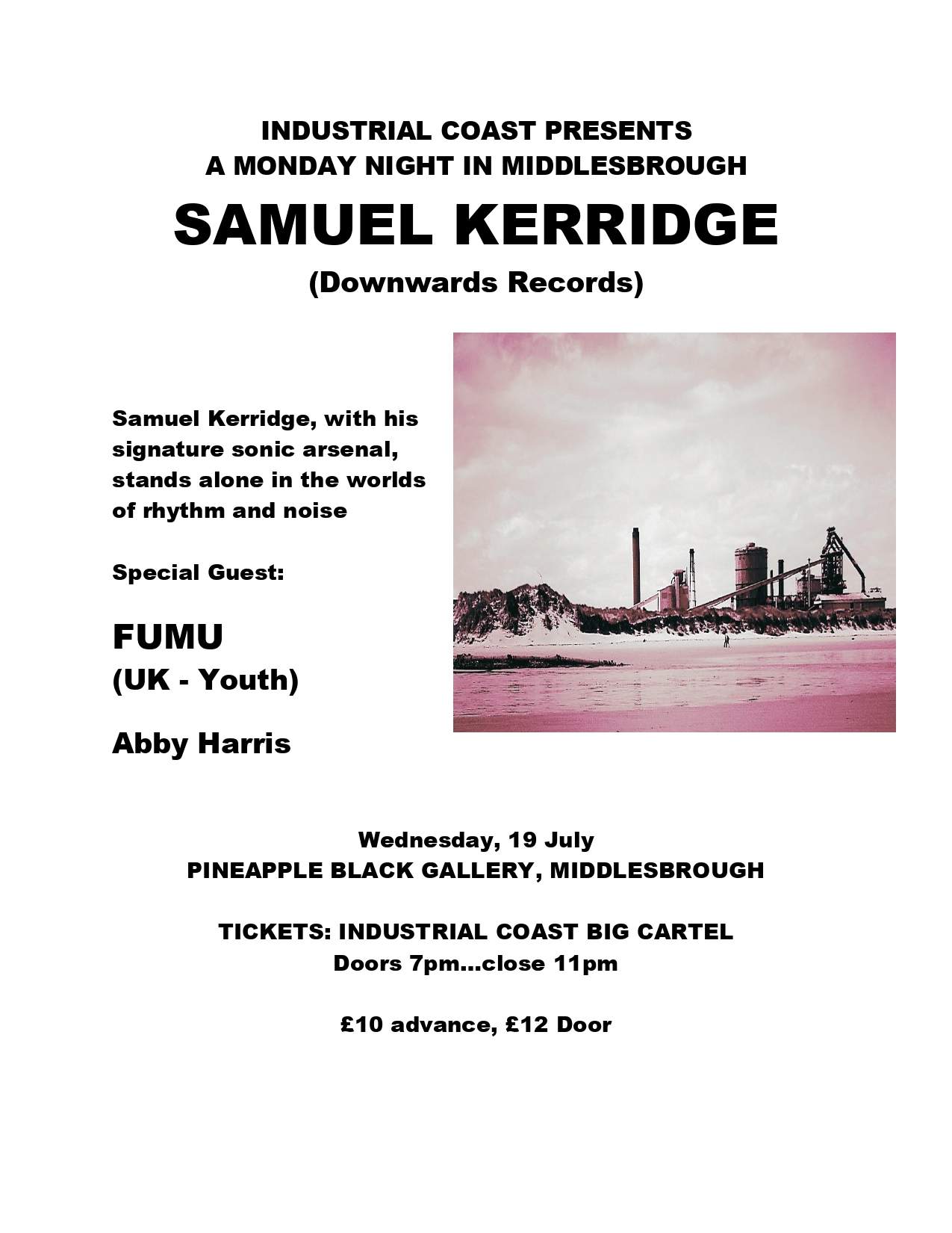 Samuel Kerridge at TBA - Pineapple Black Gallery Middlesbrough , North