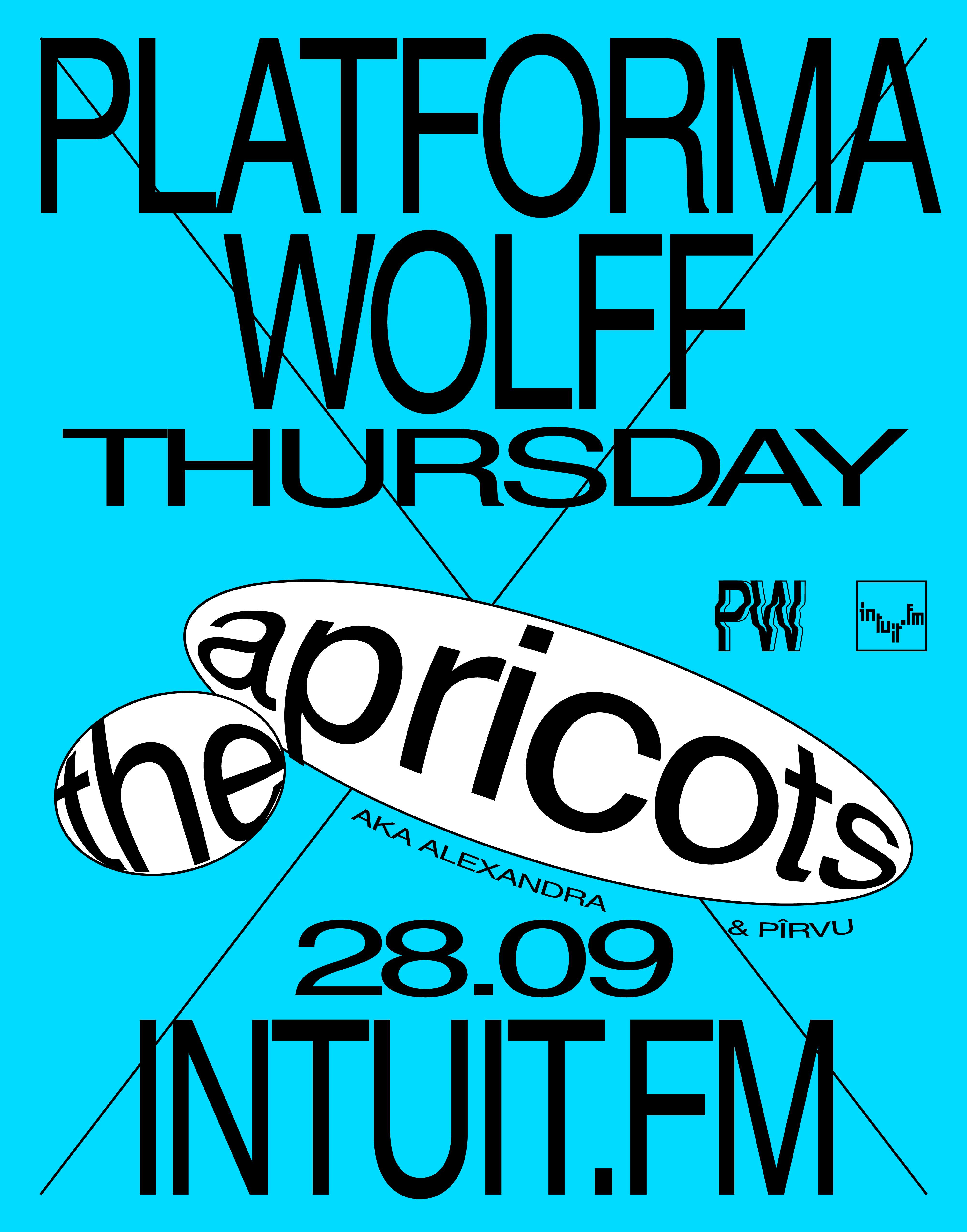 Intuit FM • The Apricots (Alexandra & Pîrvu) em Platforma Wolff, Bucharest