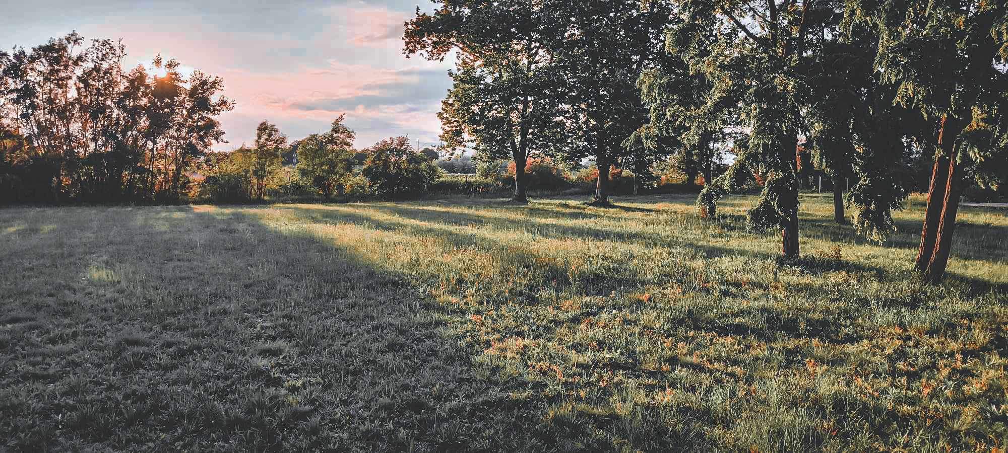 LÁPI PÓC // CEGLÉD en TBA - CEGLÉD - LÁPI PÓC, Hungría