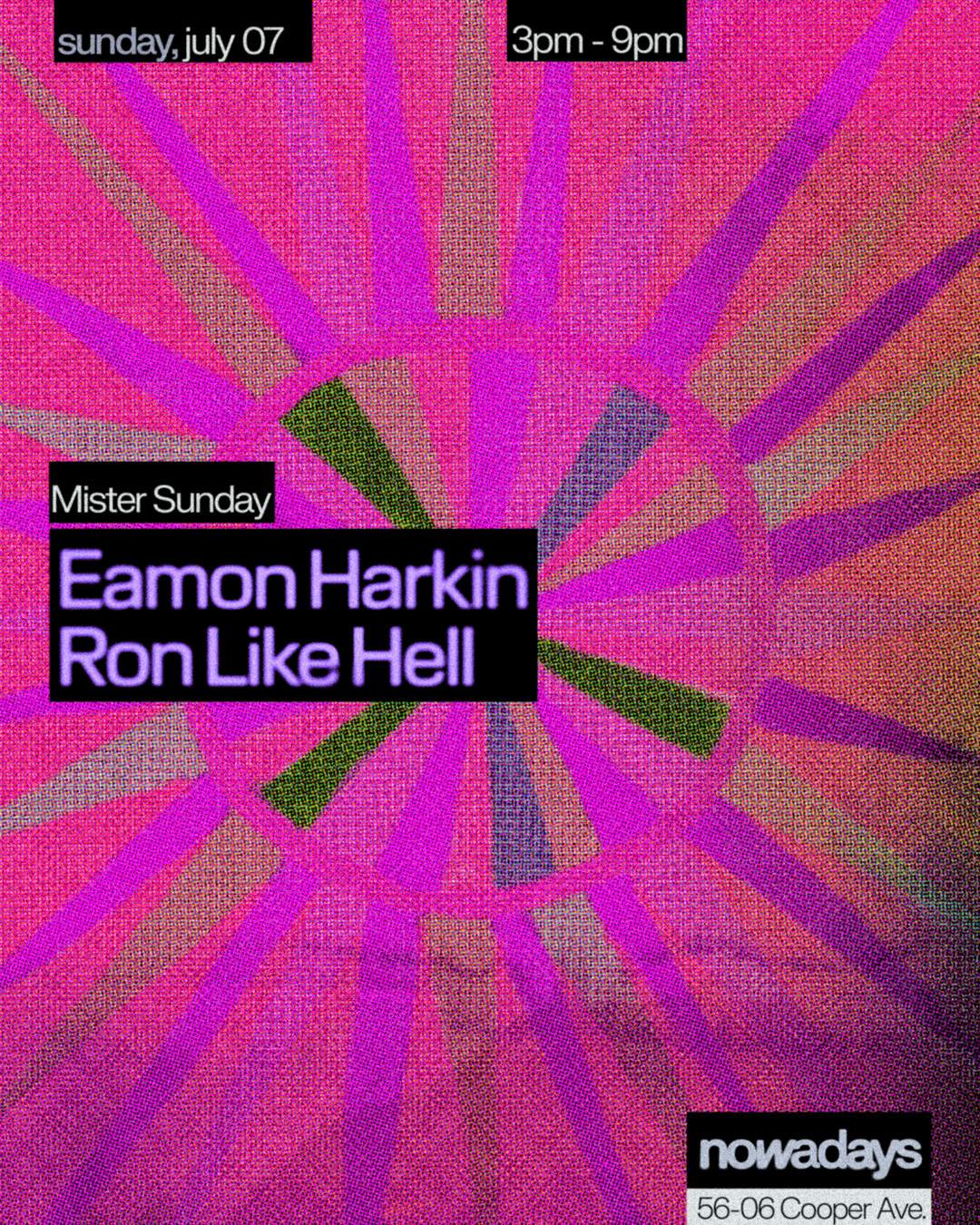 Mister Sunday: Eamon Harkin & Ron Like Hell at Nowadays, New York City