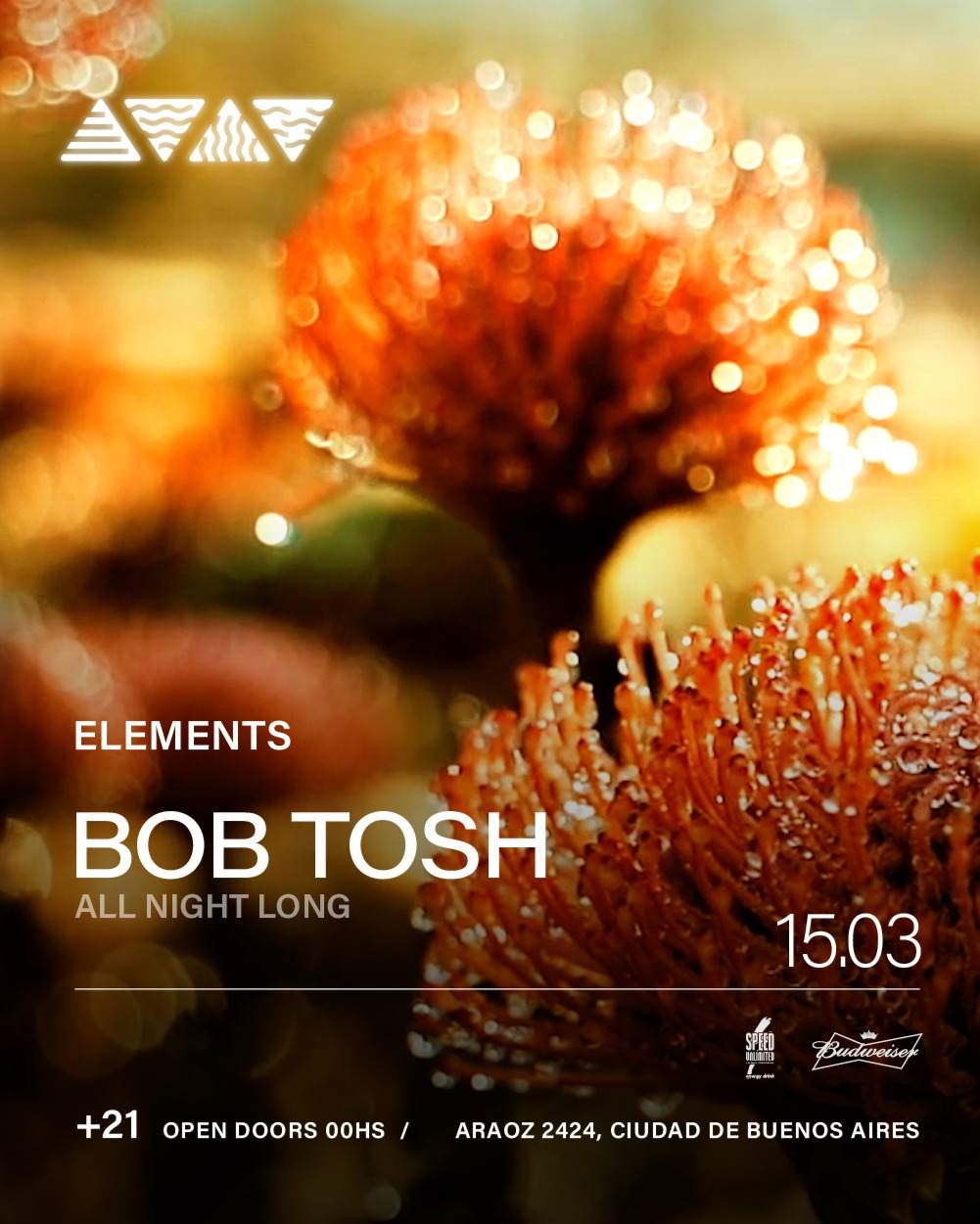 Bob Tosh - by ELEMENTS en TBA - Elements Club, Palermo, Buenos Aires