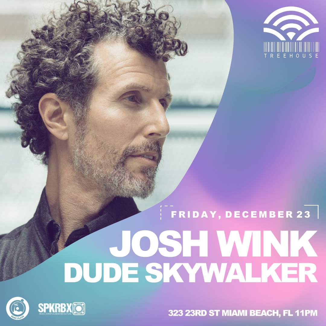 Josh Wink at Treehouse Miami, Miami