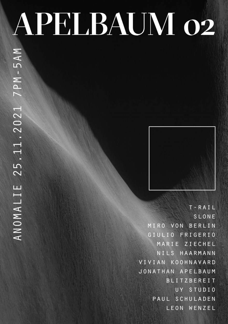 Apelbaum02 a DSTRKT (former Anomalie), Berlino