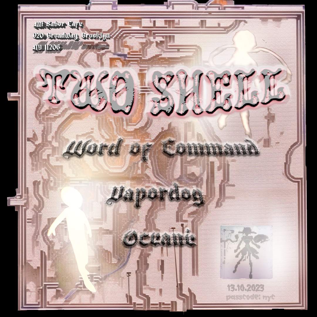 sksksks presents: Two Shell at Mi Sabor Cafe, New York City