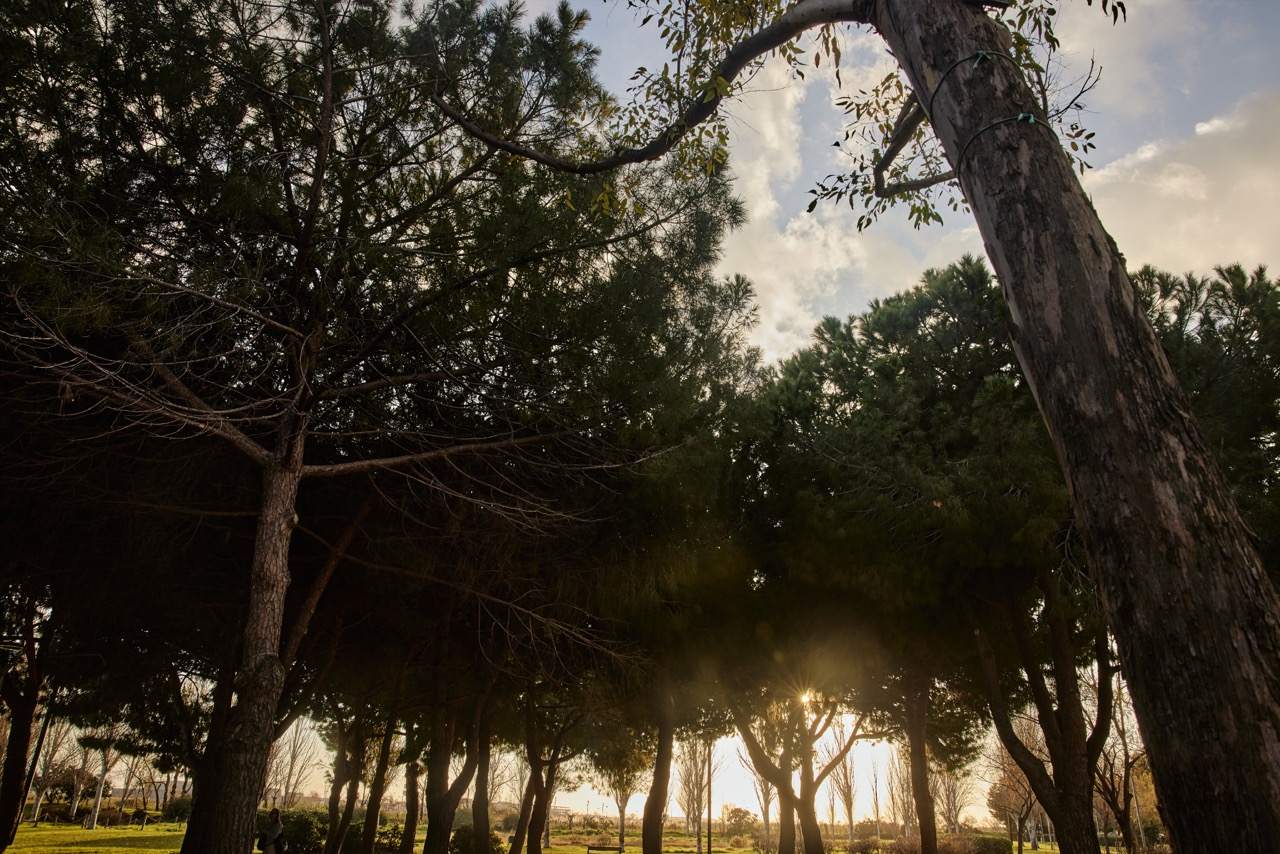 SOUNDIT Festival 2025 at Parc Nou. El Prat de Llobregat, Barcelona ...