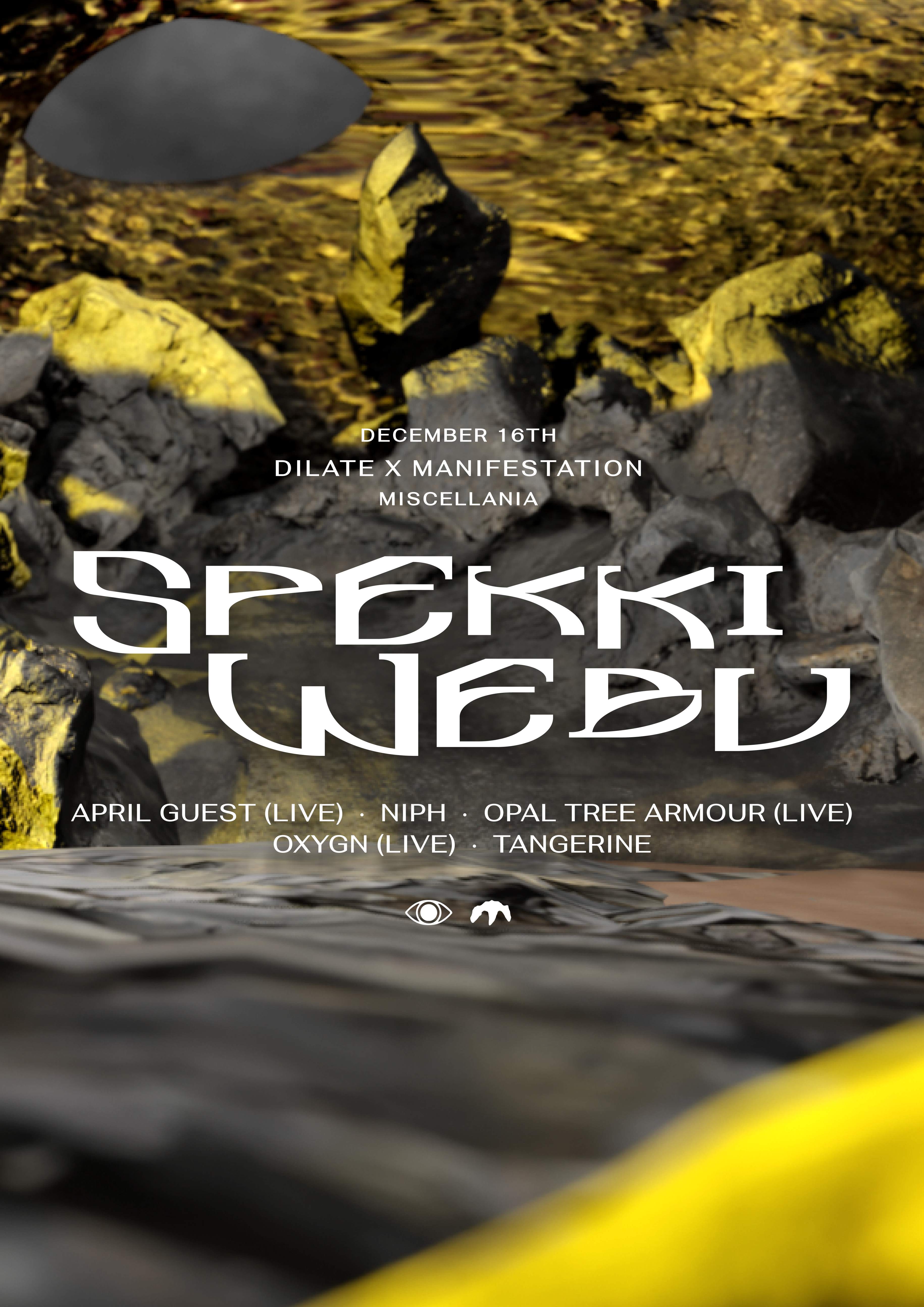 Dilate x Manifestation: Spekki Webu (Mirror Zone, NL) en Miscellania ...