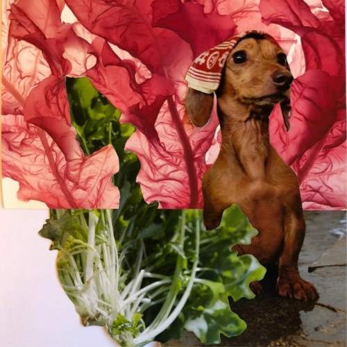 20 JAHRE DUBSEARCH: Luca Duran b2b Ashwini, Sentiment, Leo Gretener b2b ...