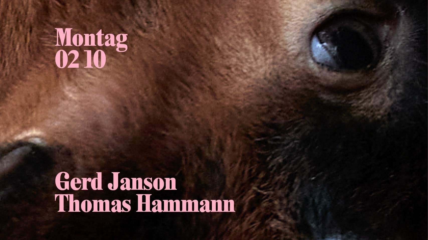 Gerd Janson & Thomas Hammann at Robert Johnson, Hesse