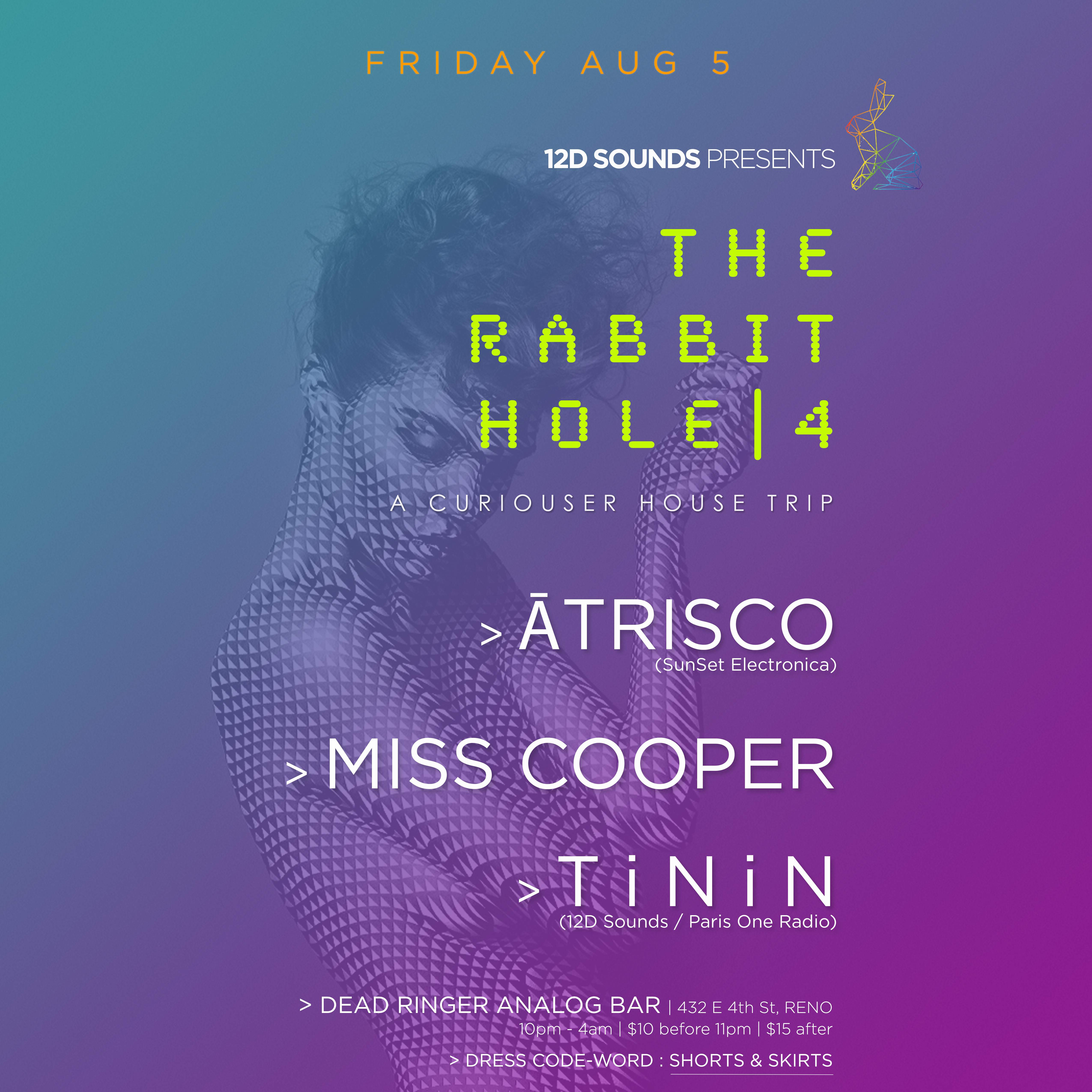 The Rabbit Hole vol. 4 - Reno's Top House Music Rave at Dead Ringer ...