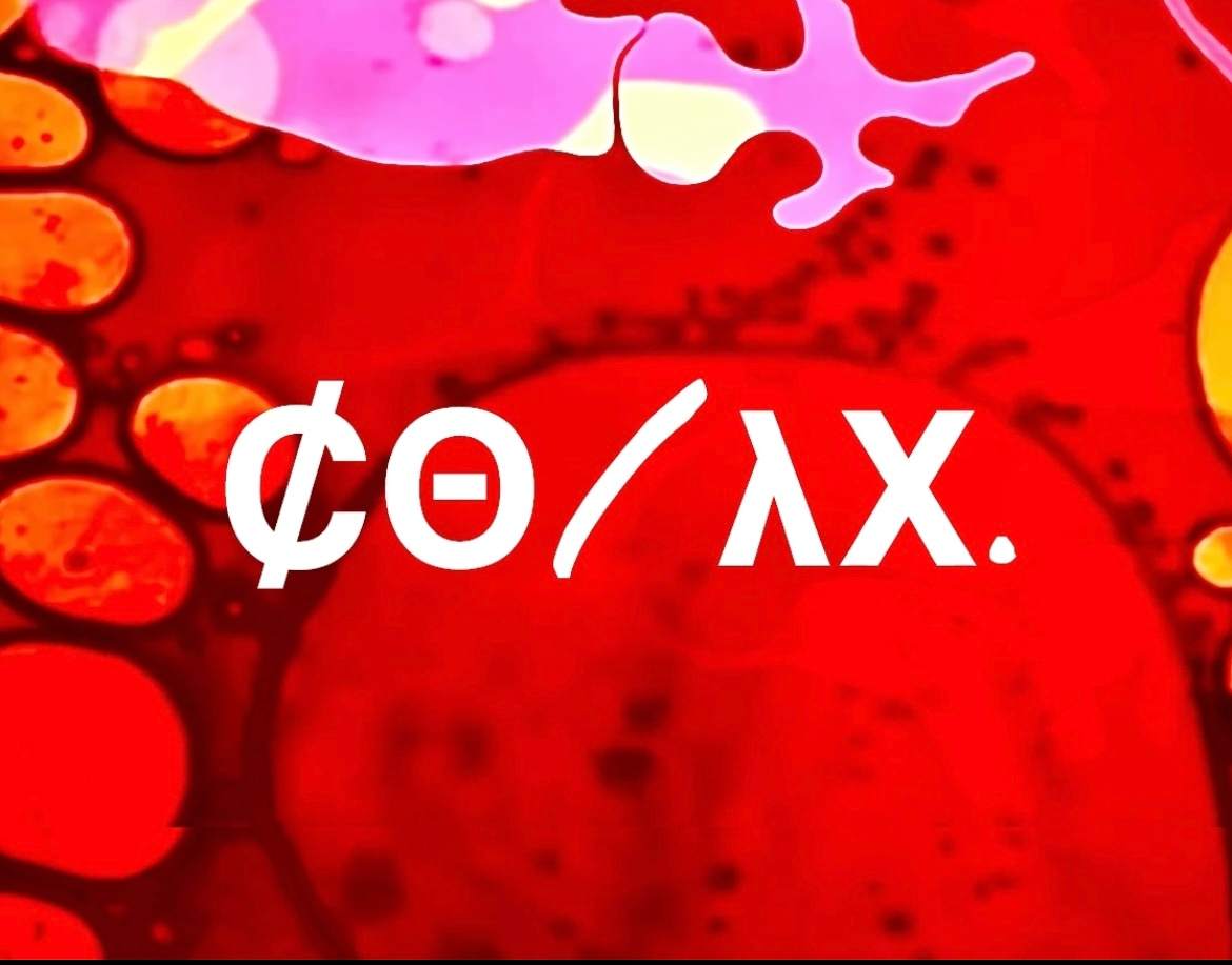 CO/AX at West Port Oracle, Edinburgh