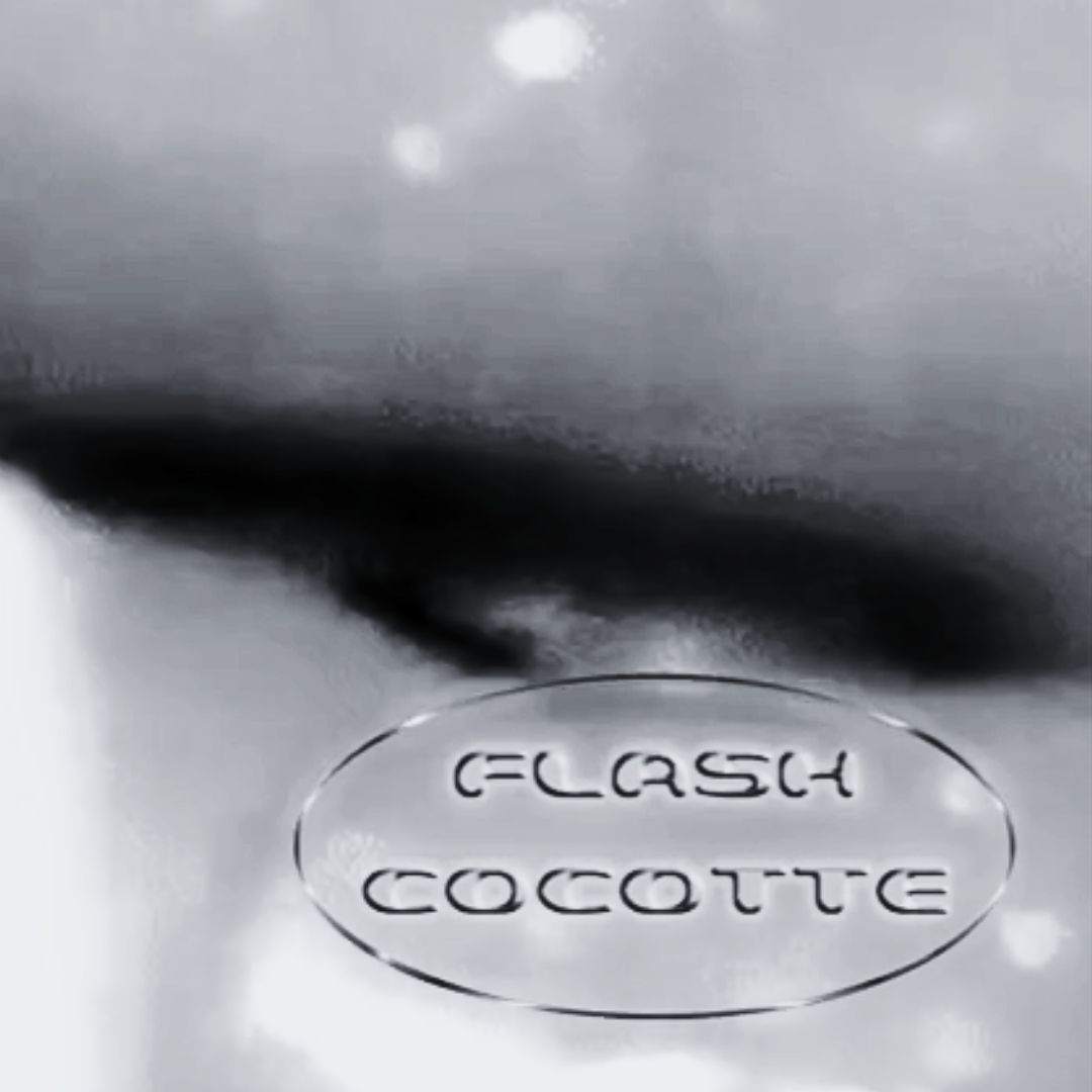 Fvtvr hosts Flash Cocotte at Fvtvr, Paris