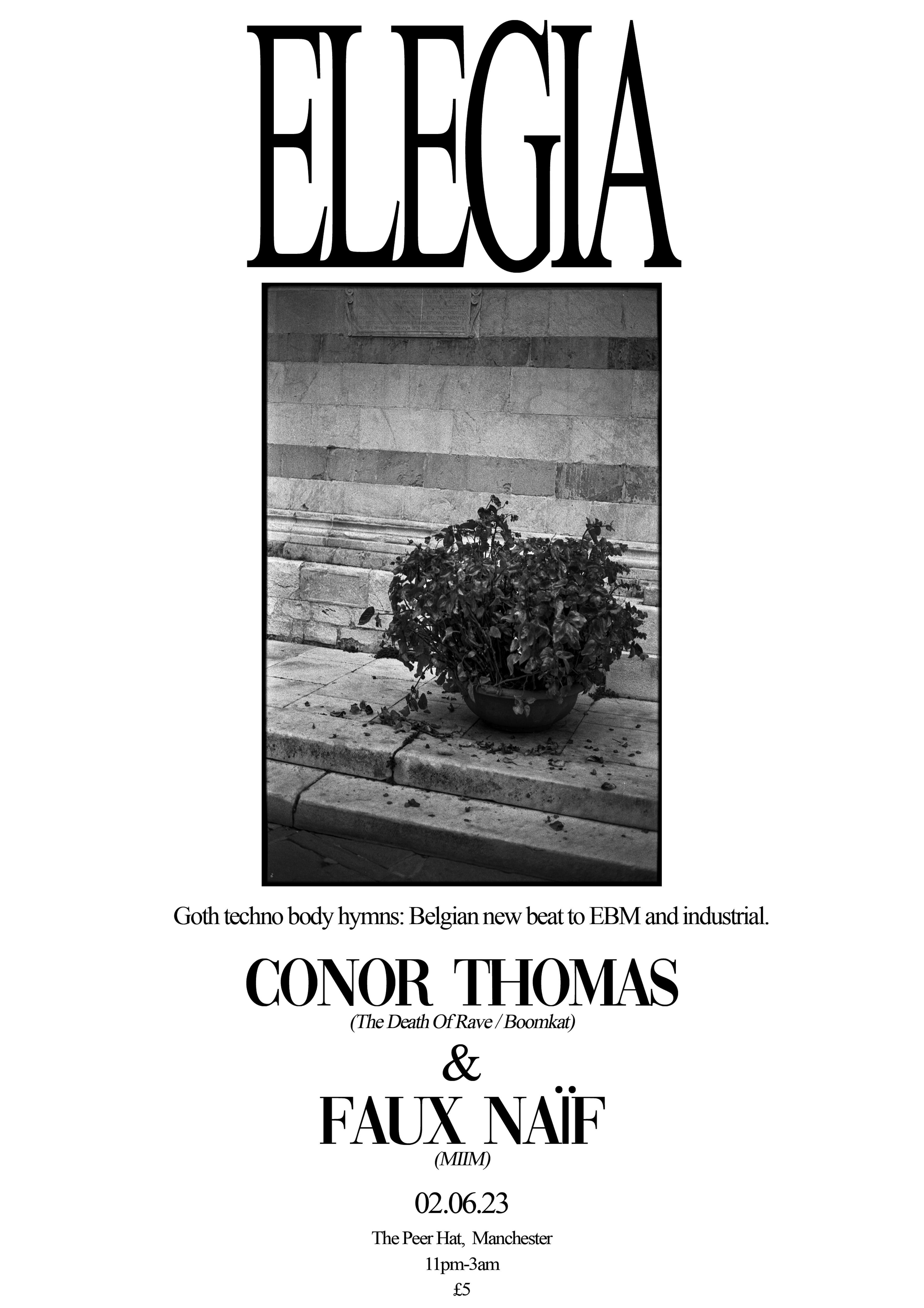 Elegia iii with Conor Thomas & faux naïf at The Peer Hat, Manchester