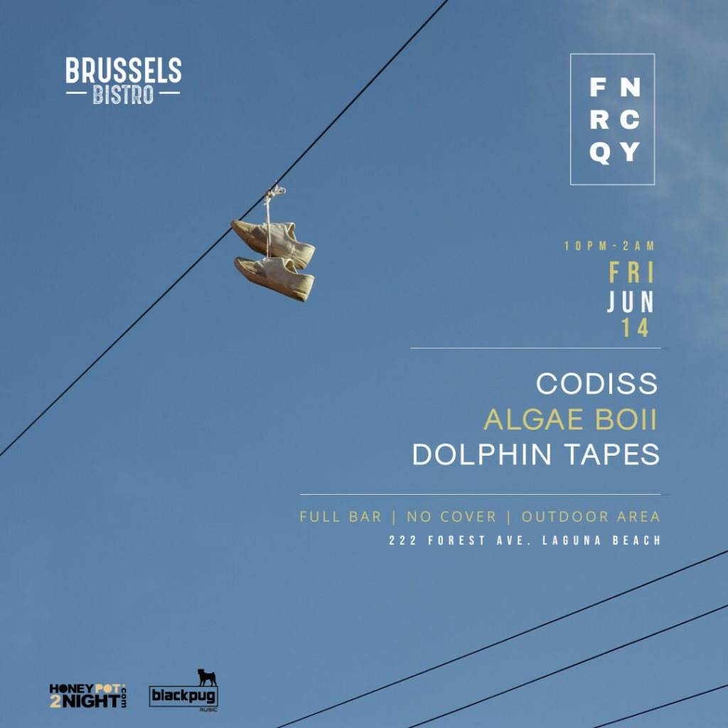 Frequency presents Codiss, Dolphin Tapes and Algae Boii bei Brussels ...