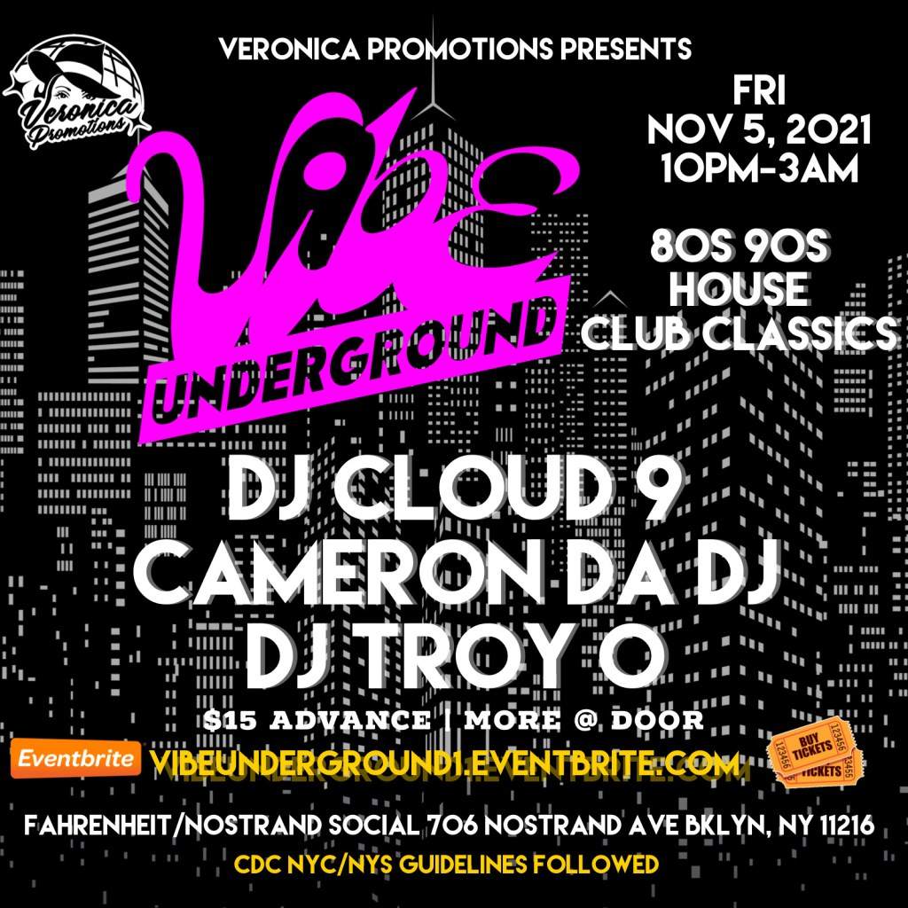 Vibe Underground Cloud 9, Cameron Da DJ, Troy O bei Fahrenheit, New York
