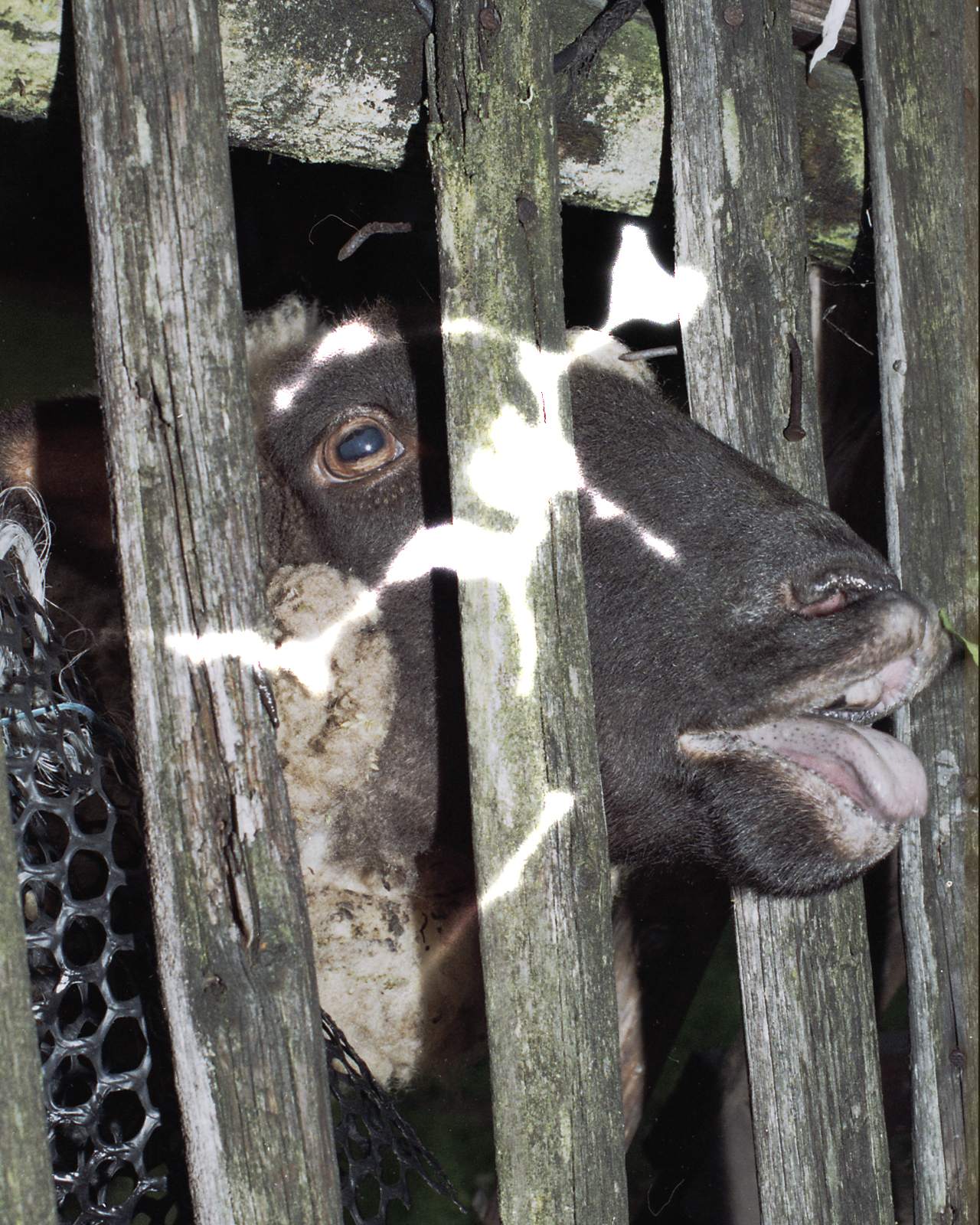 EXIT CLUB: Halloween at Exit Glasgow, Glasgow