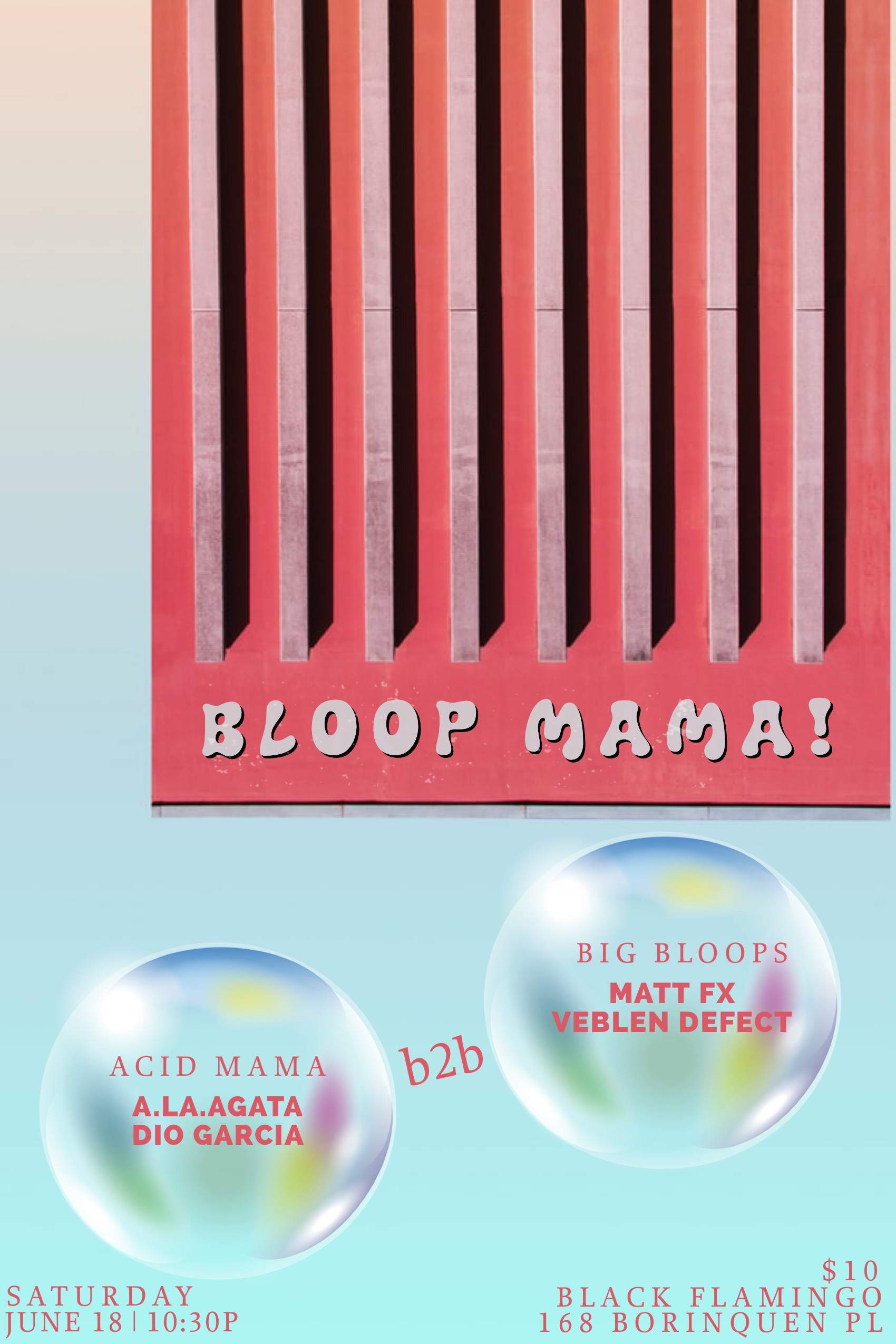 BLOOP MAMA / acid mama and big bloops em Black Flamingo, New York City
