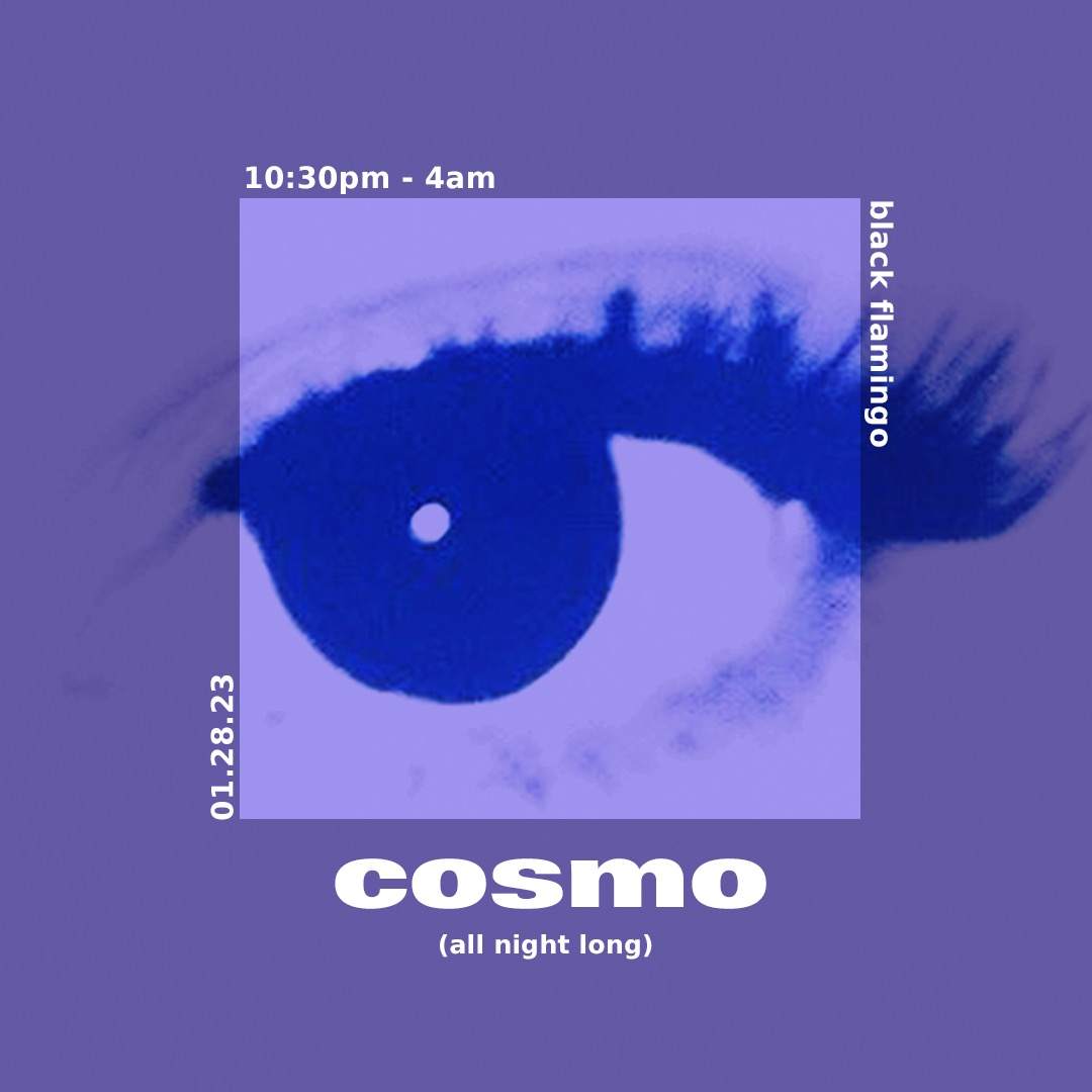 Cosmo All Night at Black Flamingo, New York City