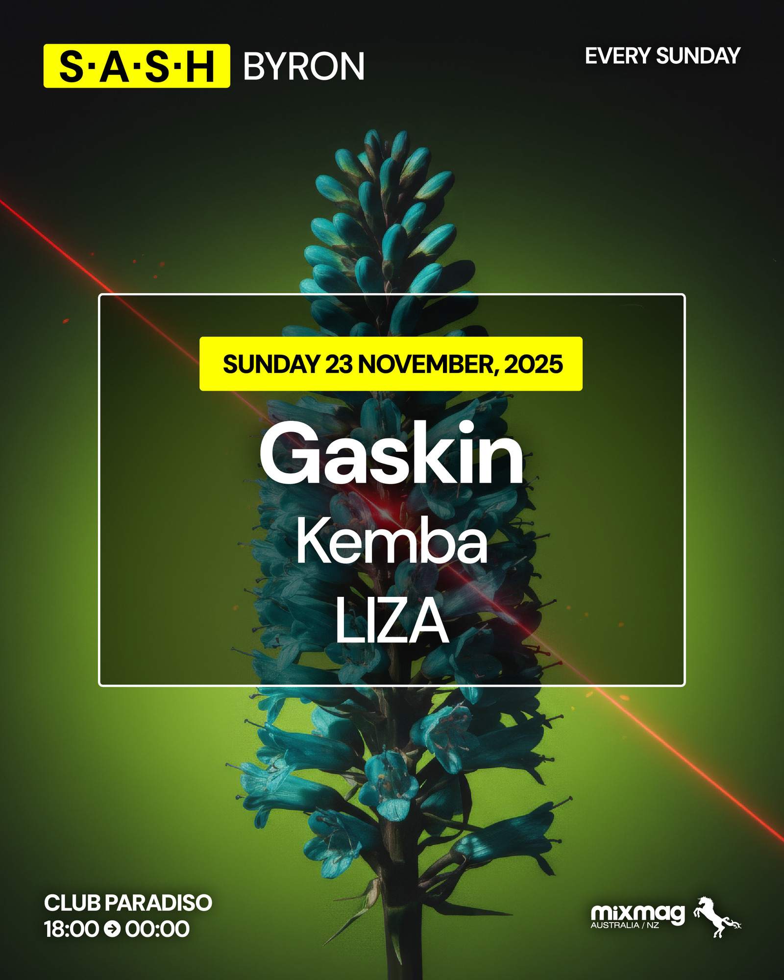 S.A.S.H Byron ★ Gaskin ★ Sunday 23rd November ★ at Paradiso Music Room ...