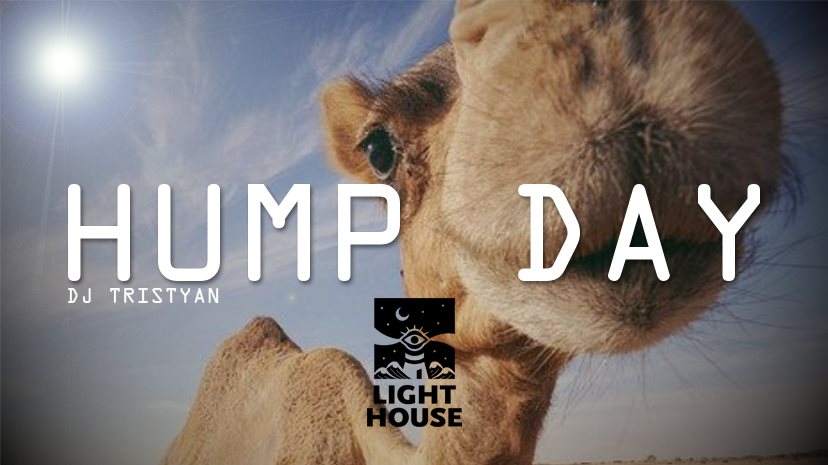 Hump Day at The Lighthouse, Ho Chi Minh City