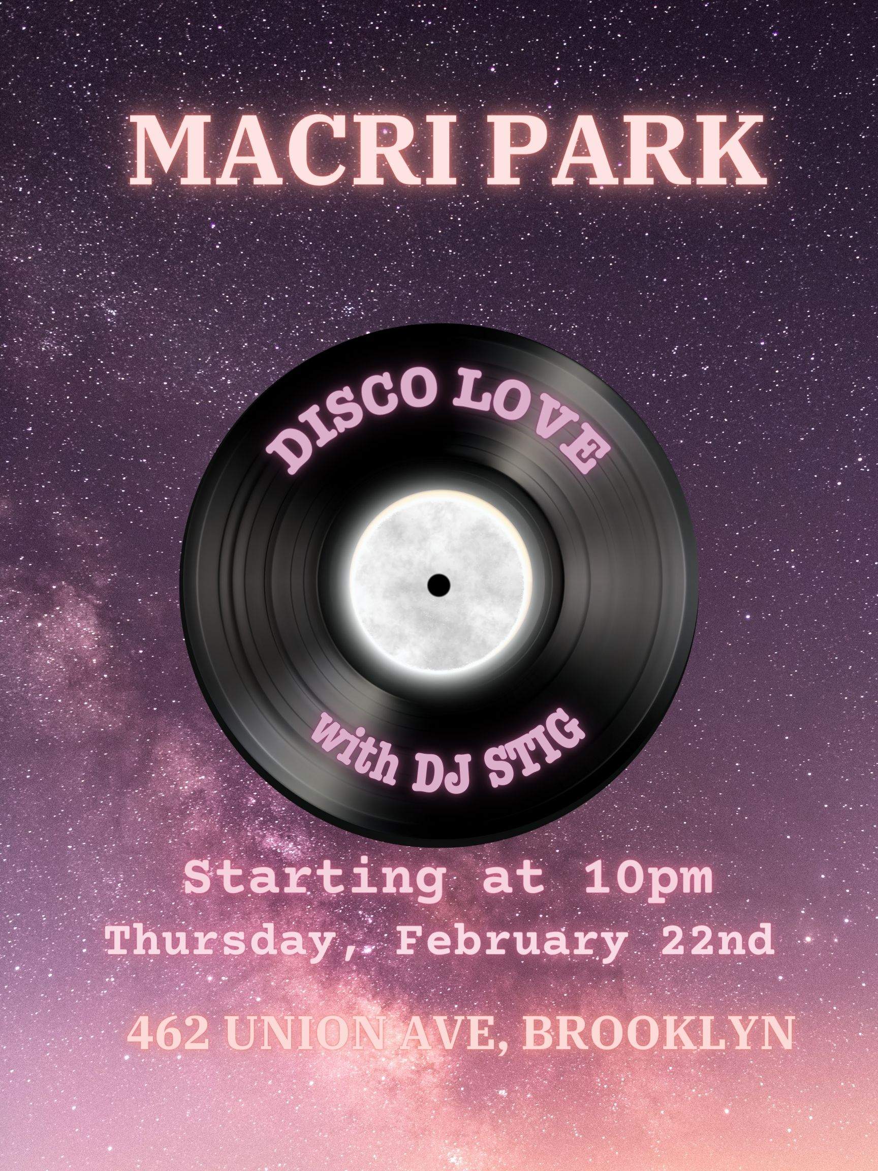 DISCO LOVE at Macri Park, New York City