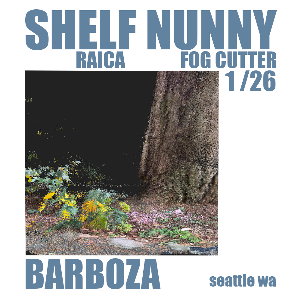 Shelf Nunny - pronoia album release show at Barboza, Seattle