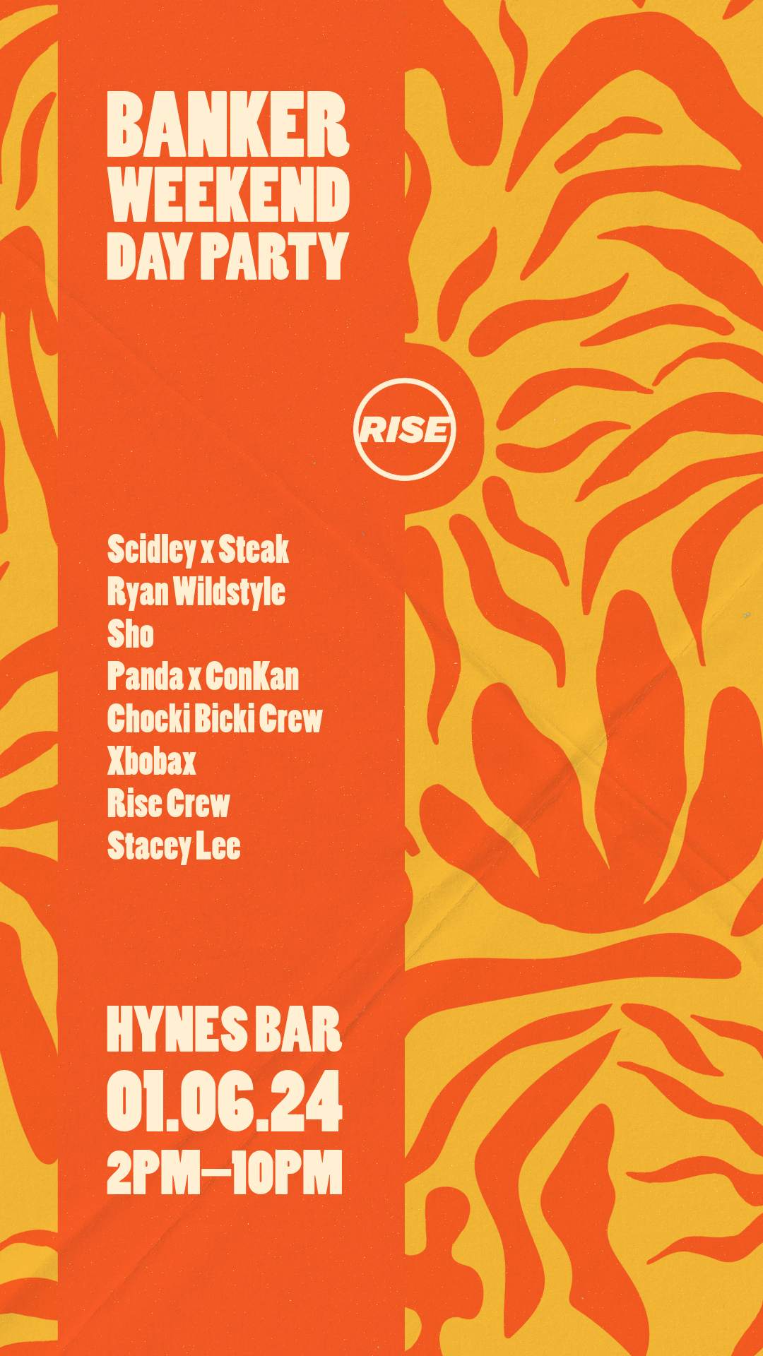 Rise Banker Weekend Day Party at Hynes' Bar, Dublin