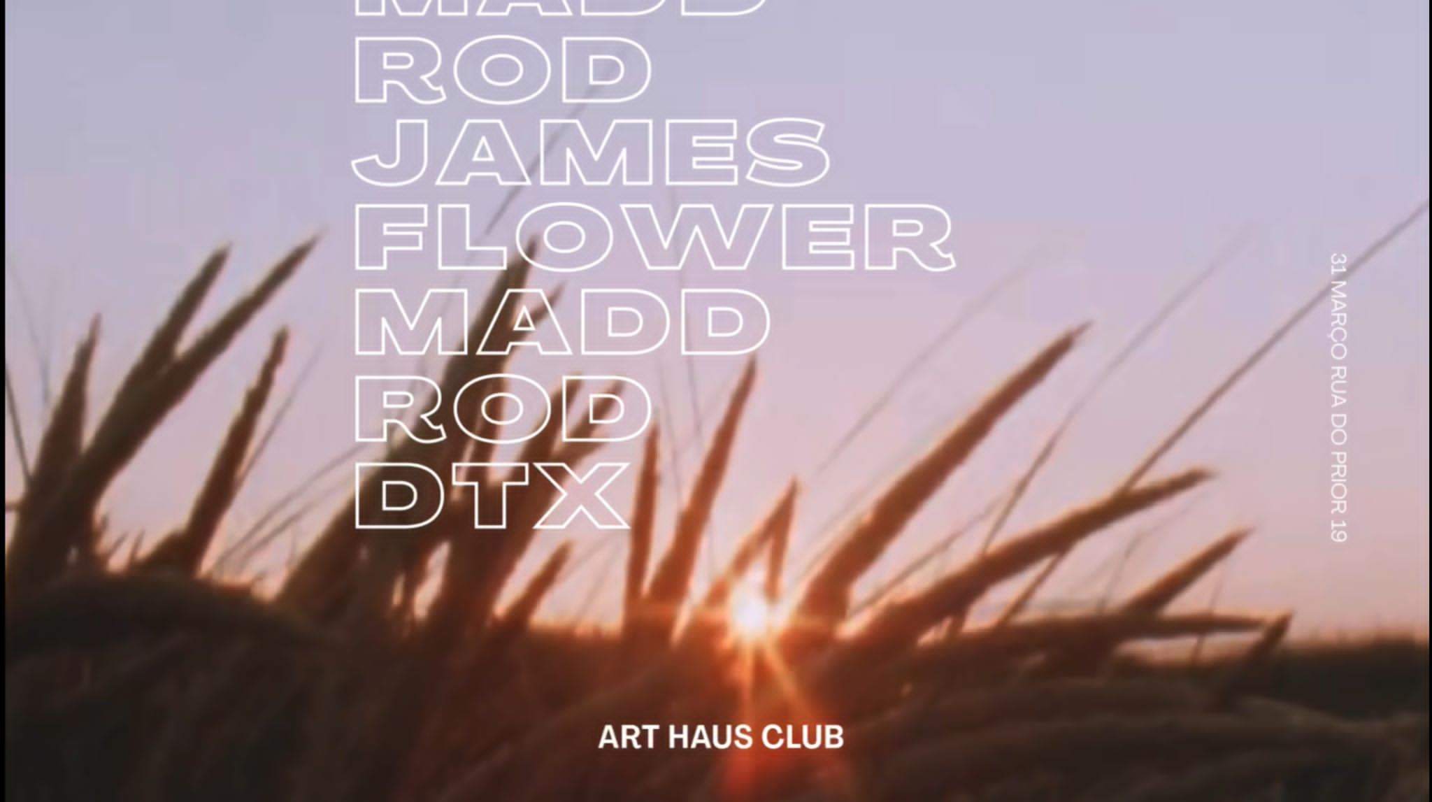 Madd Rod - James Flower at Art Haus Club, Faro