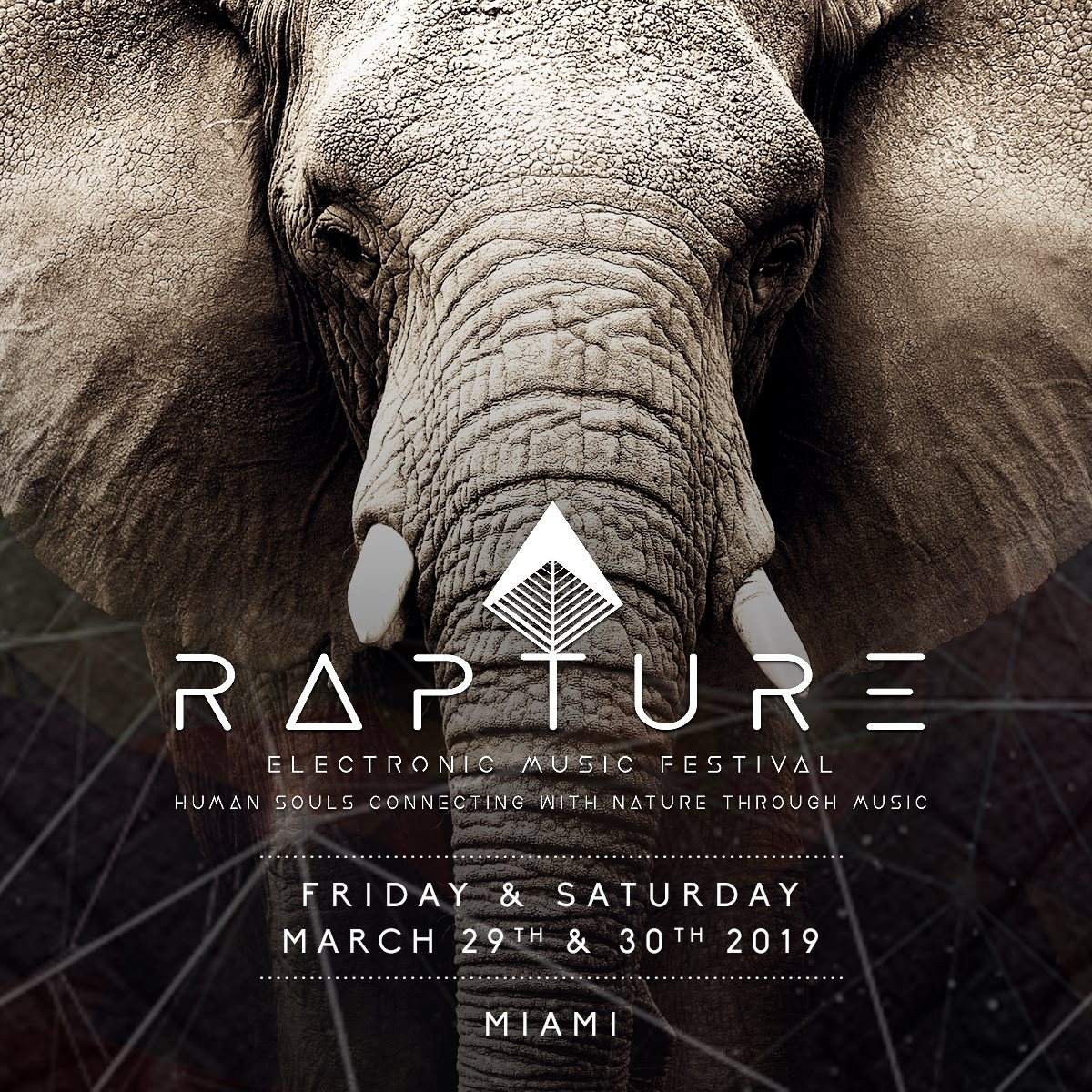 Rapture Festival 2019 bei TBA - Miami, Miami