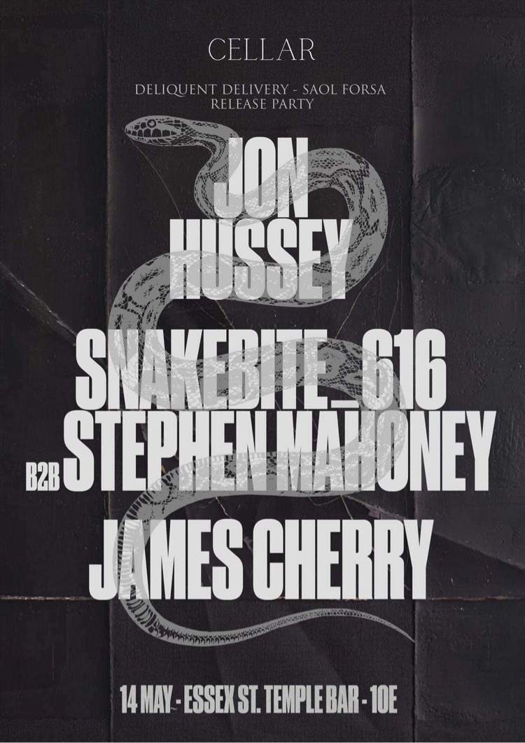 Jon Hussey, Stephen Mahoney & James cherry at Cellar, Dublin