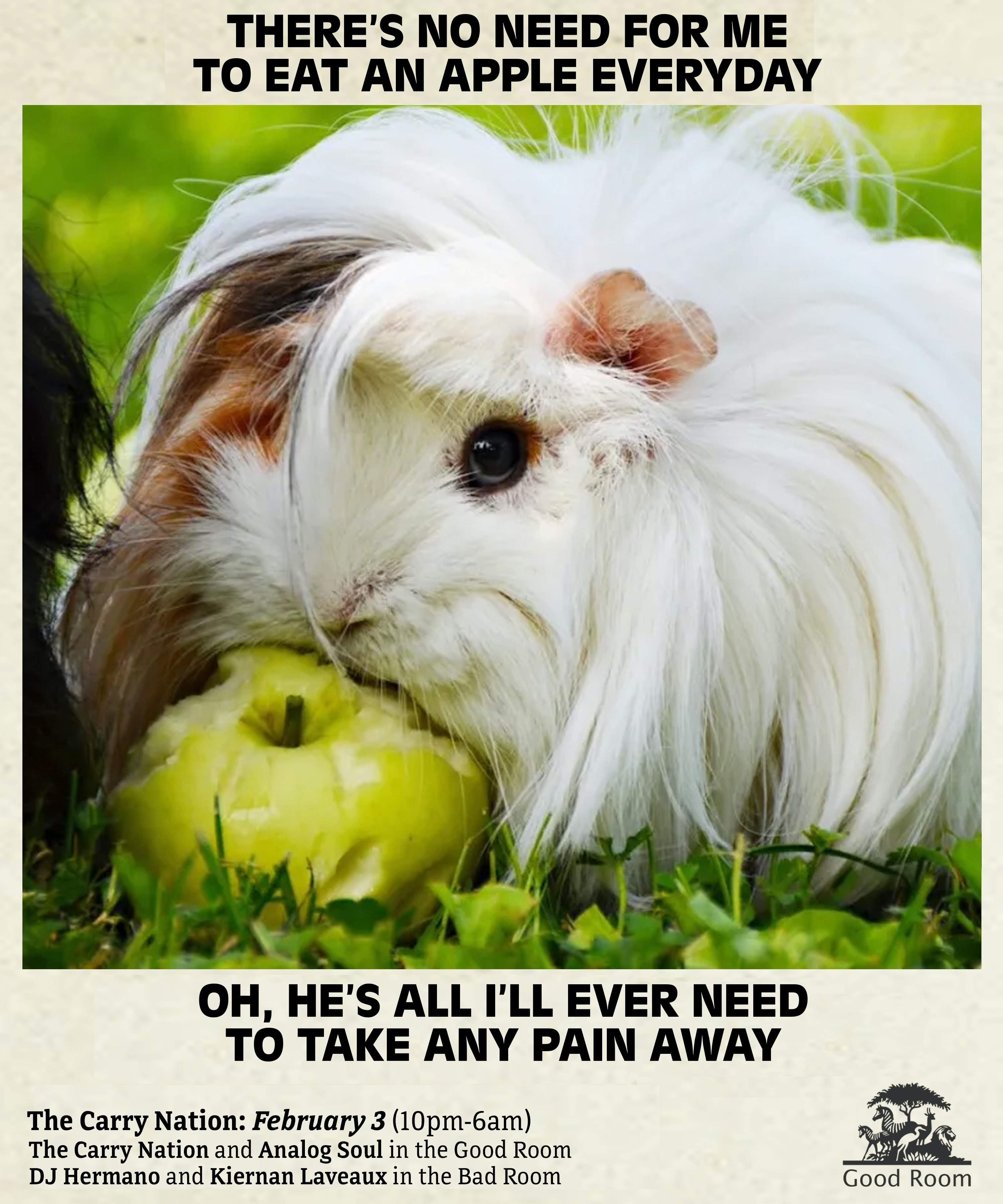 The Carry Nation February 2024 a Good Room, New York City