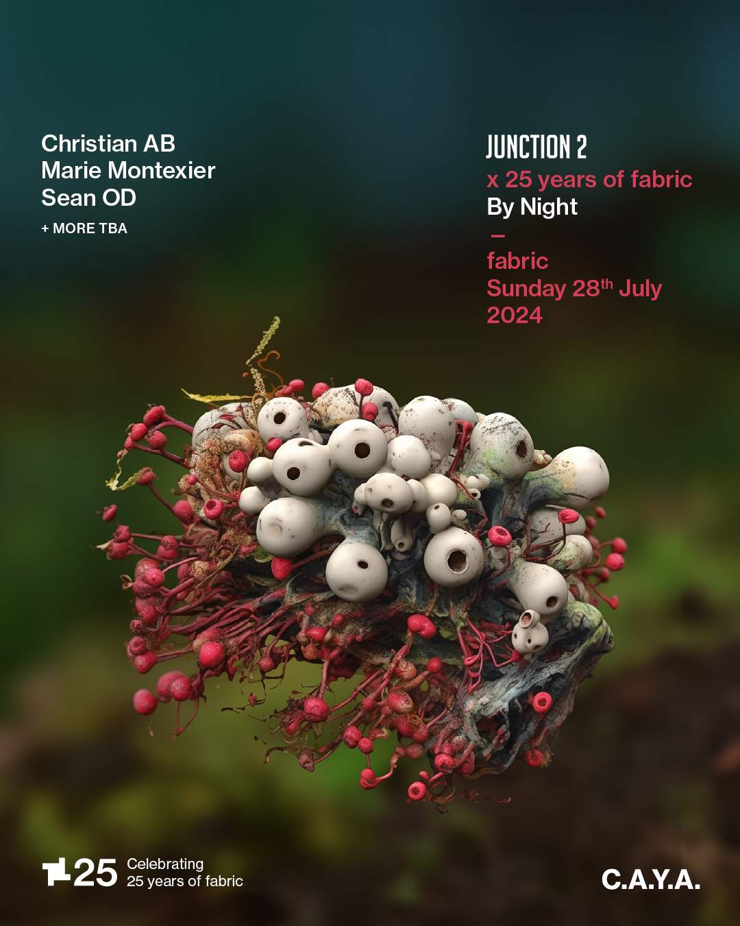 fabric25 x Junction 2: By night (Sunday) - Christian AB, Marie ...