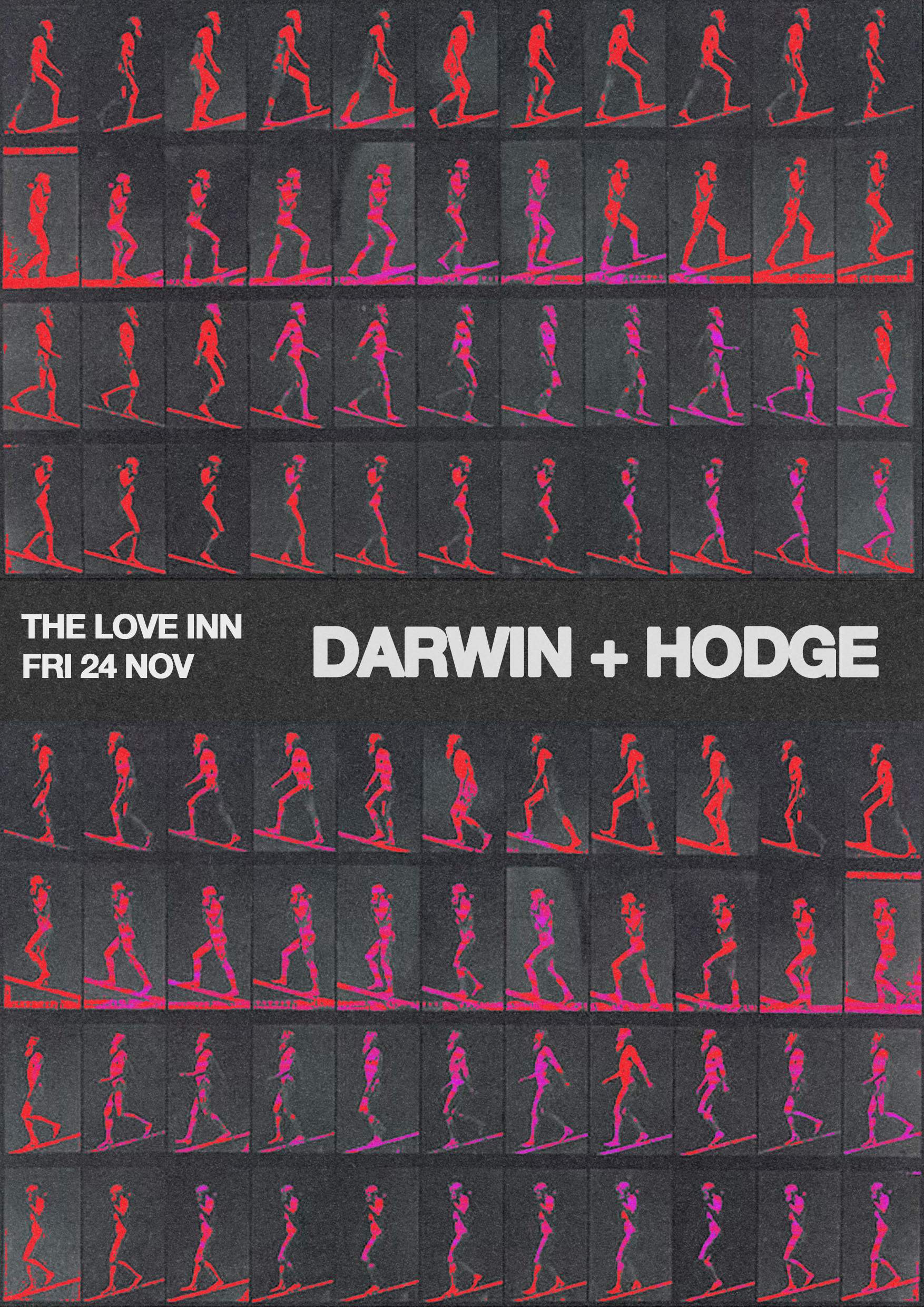 Hodge B2B Darwin at The Love Inn, Bristol