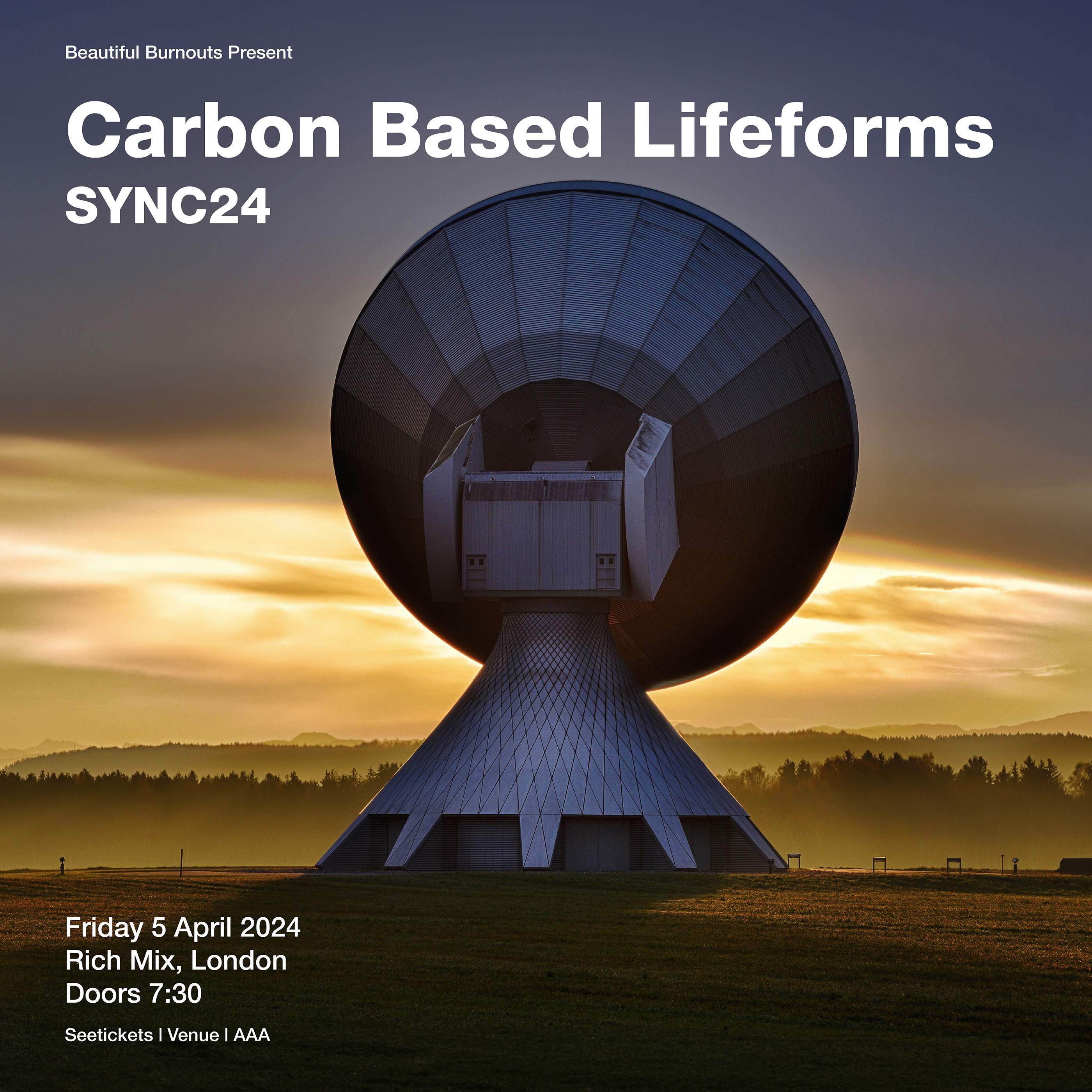 Carbon Based Lifeforms at Rich Mix, London