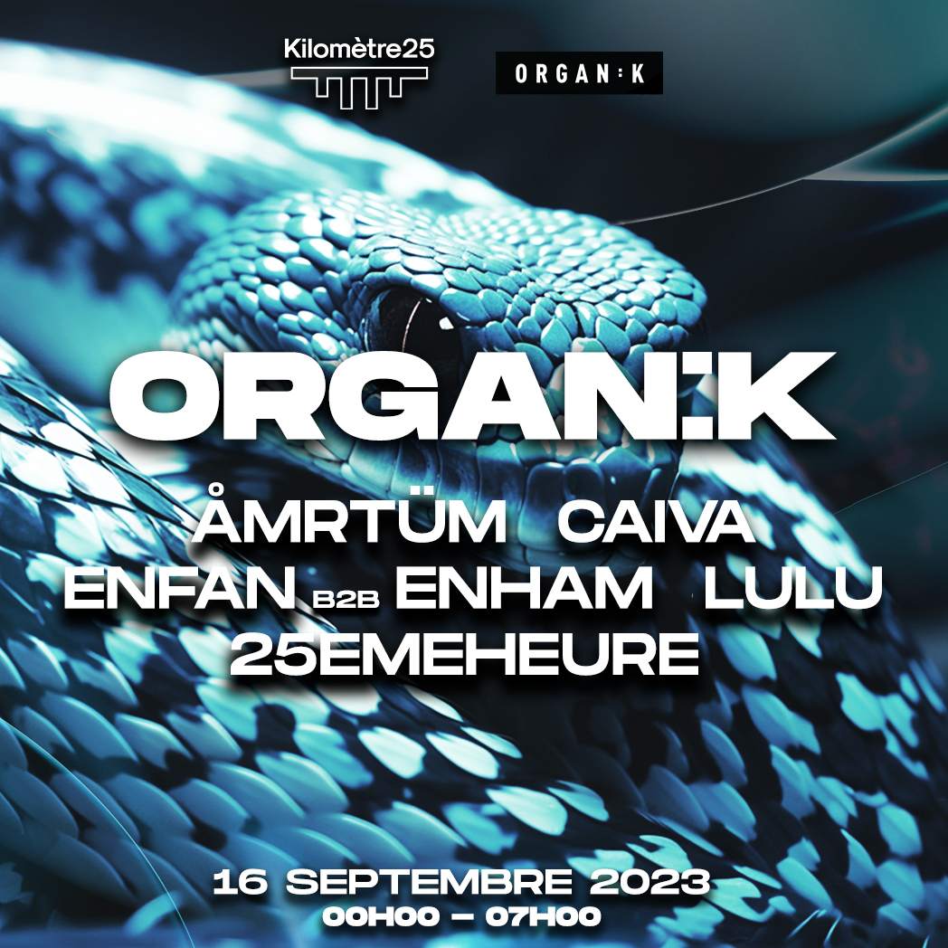 ORGANIK x KM25: AMRTÜM, 25ème HEURE, CAIVA, future.666, LULU at ...
