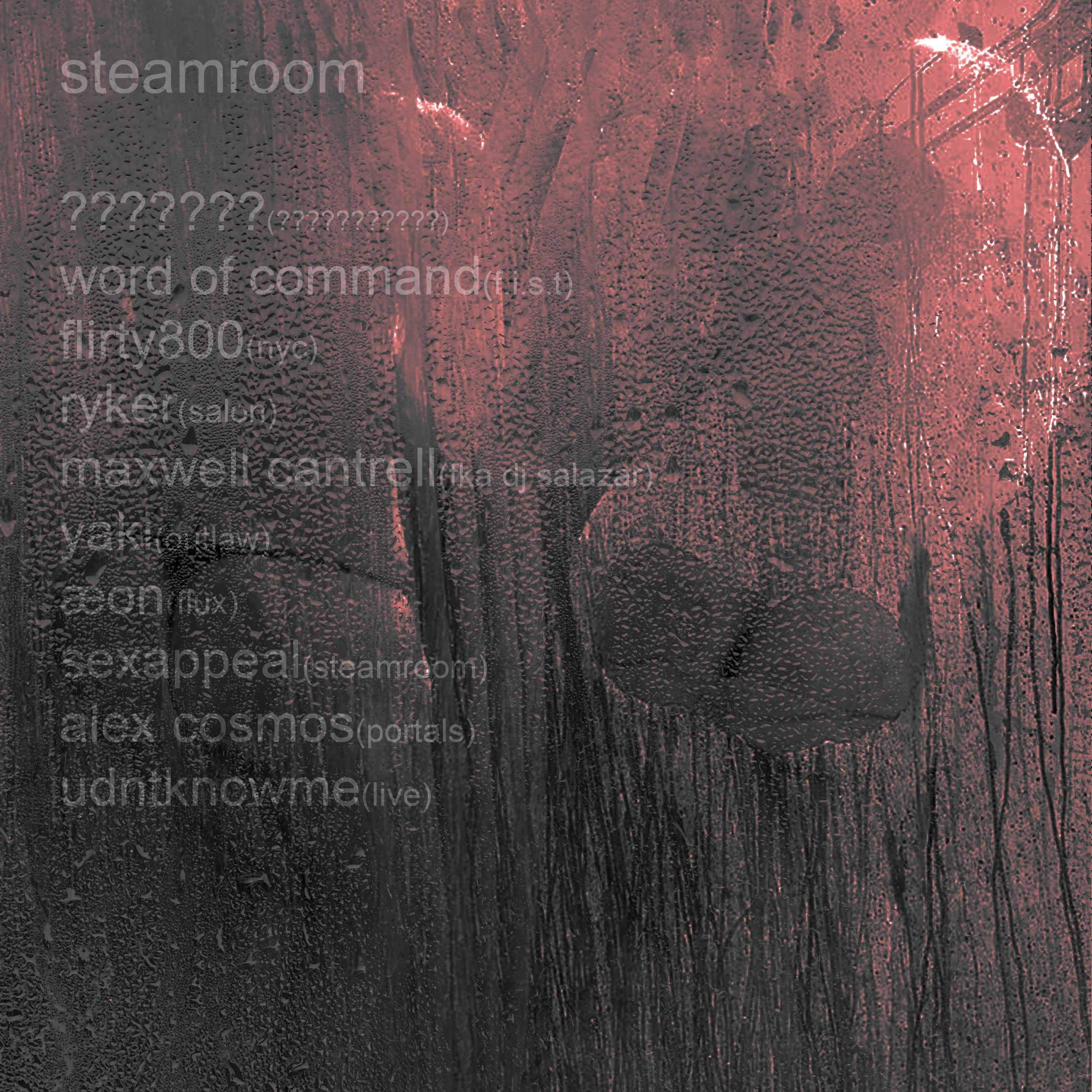 STEAMROOM at TBA - A BROOKLYN BATHHOUSE , New York City