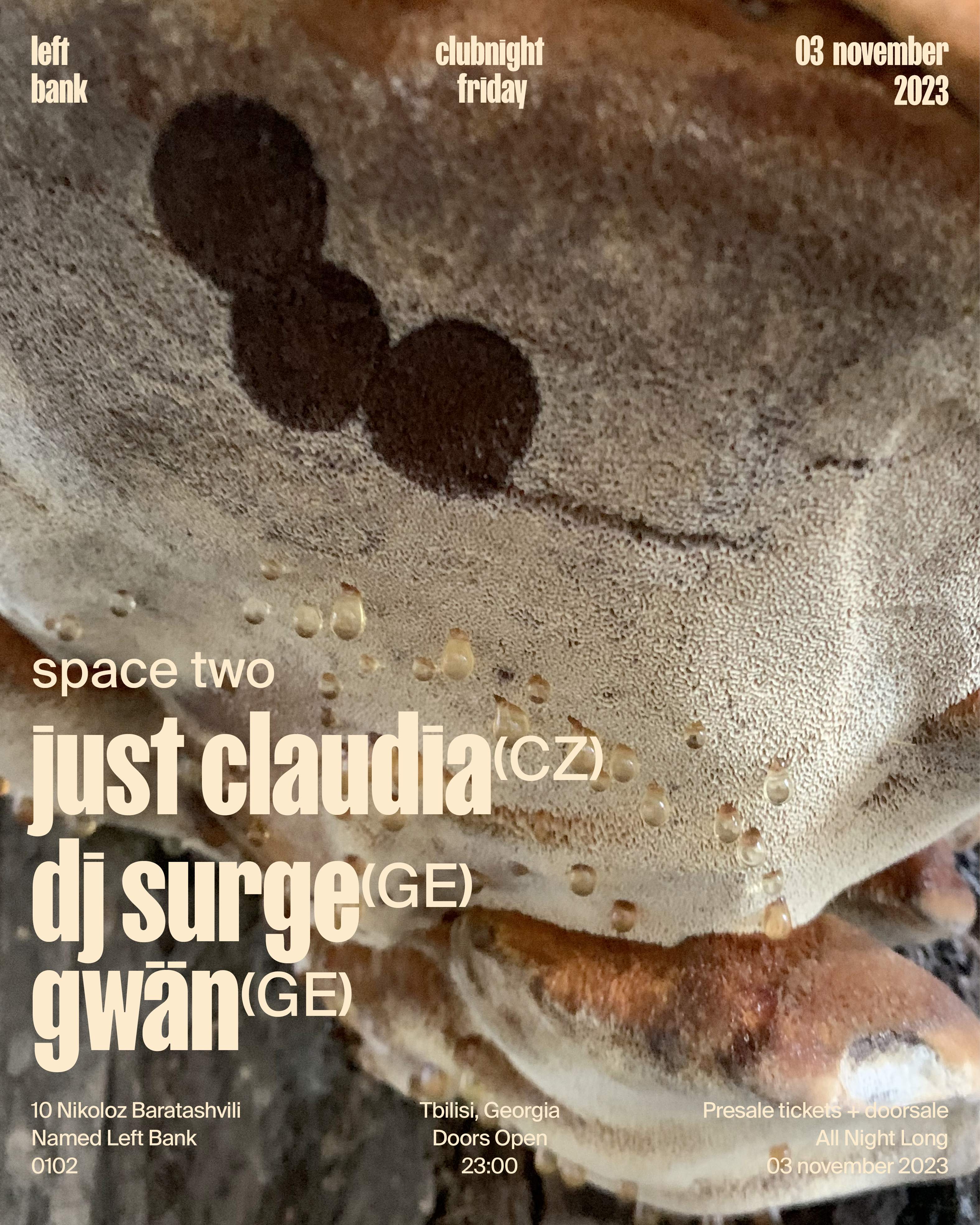 Left Bank Clubnight: Just Claudia | DJ Surge | gwän at Left Bank, Tbilisi