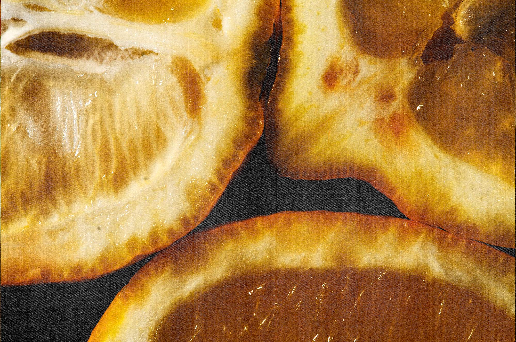 Androgyne x Combo Bongos • Virginia ~ P errine ~ Miya at Macadam ...