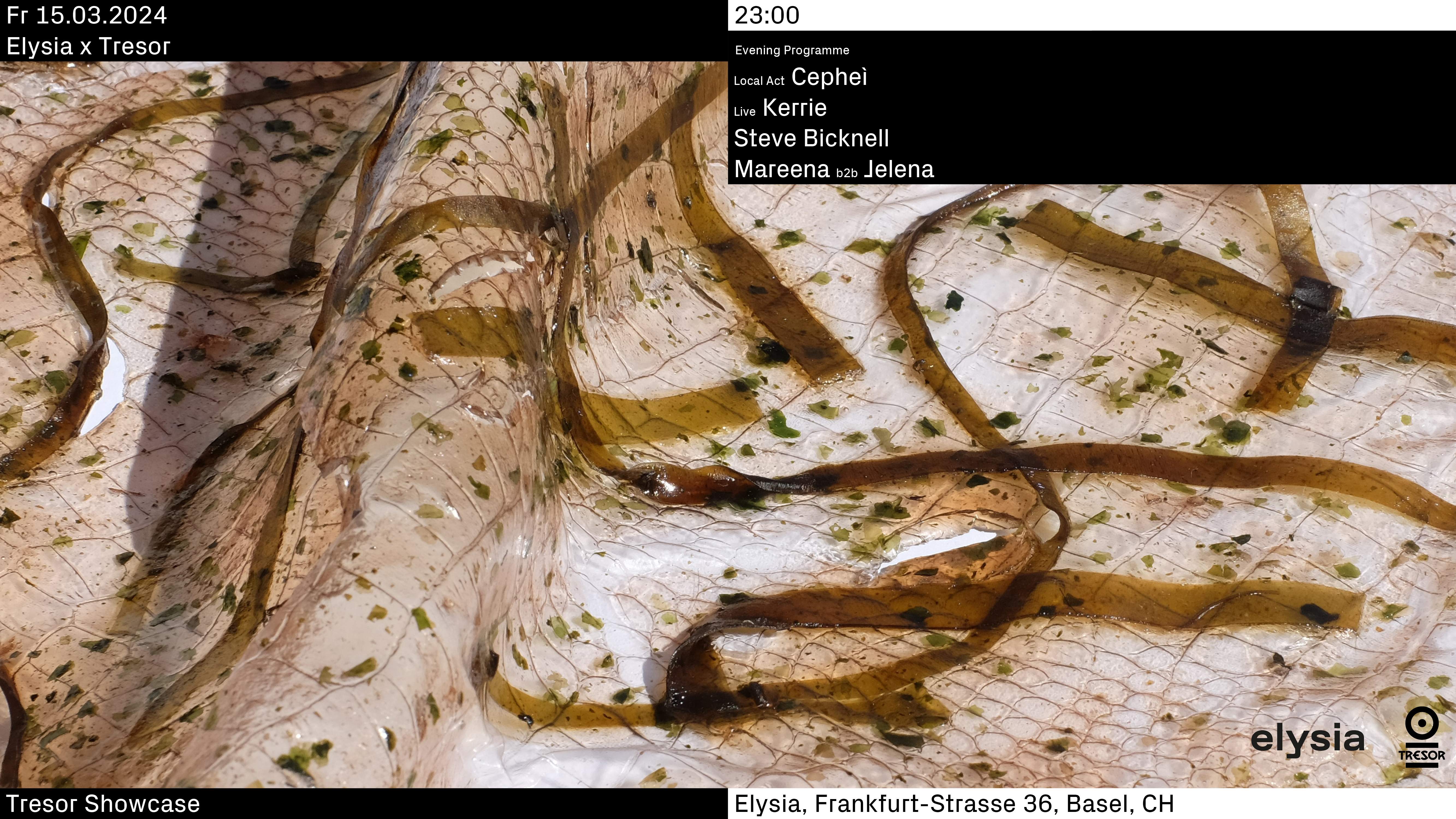 Elysia x Tresor at Elysia, Basel