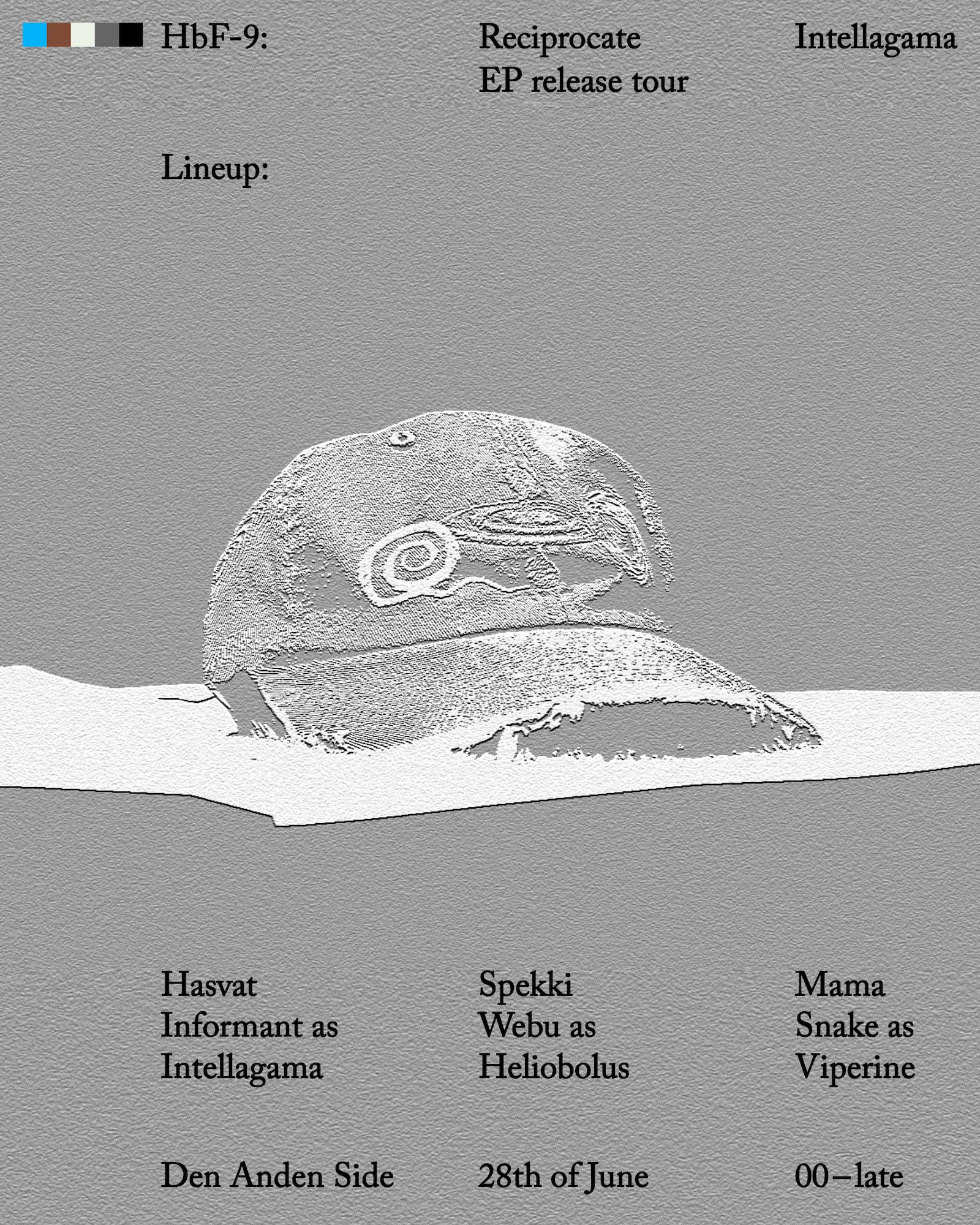 Amniote Editions present: HbF-9 release tour with Mama Snake, Spekki ...