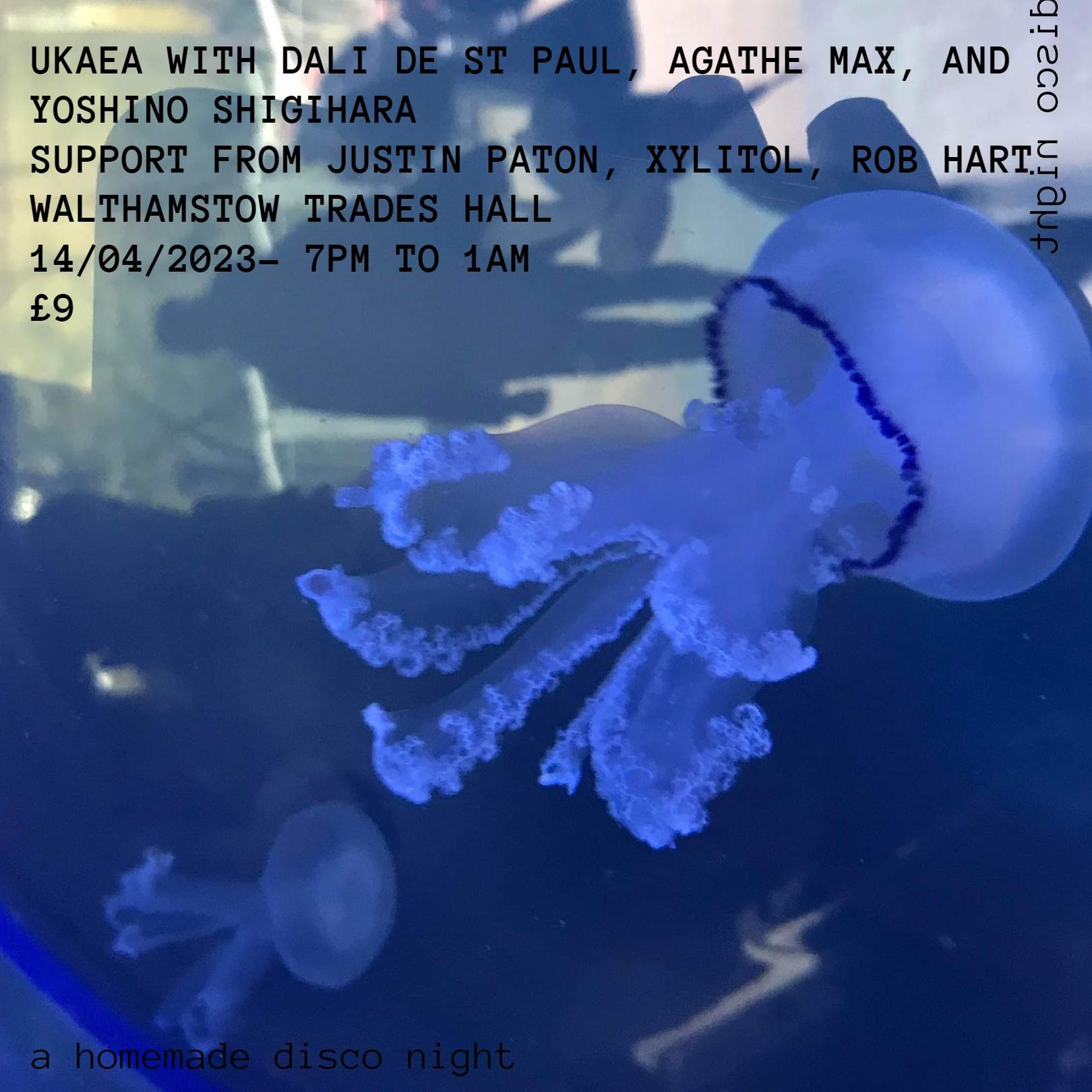 UKAEA, Dali De St Paul, Agathe Max, Yoshino Shigihara, Justin Paton ...
