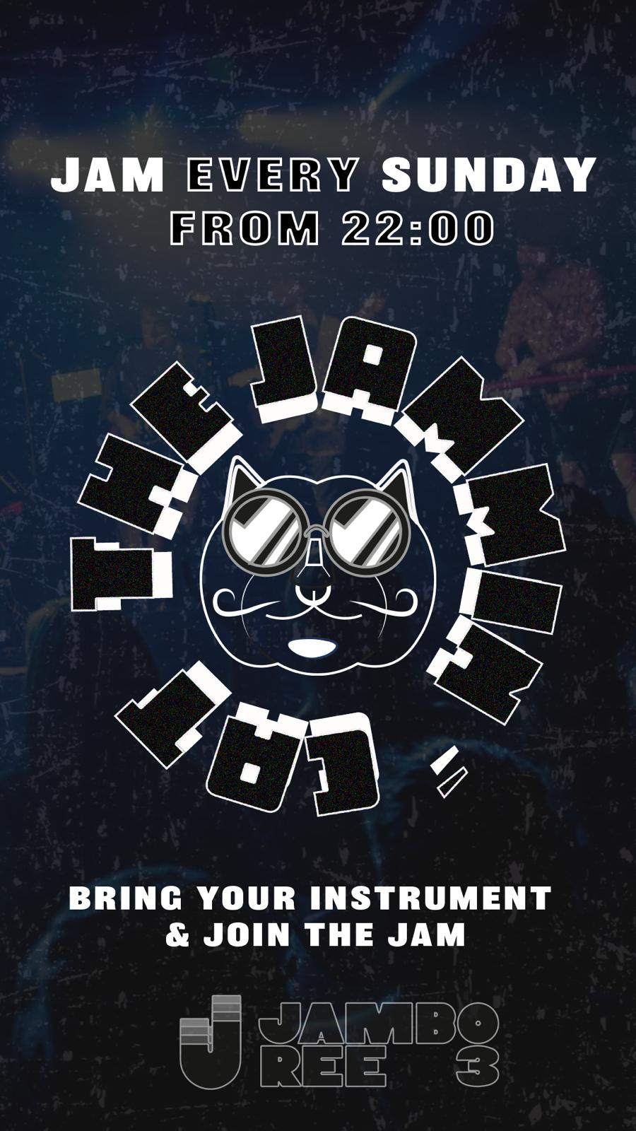 The Jammin' Cat at Jamboree Dance Club, Barcelona