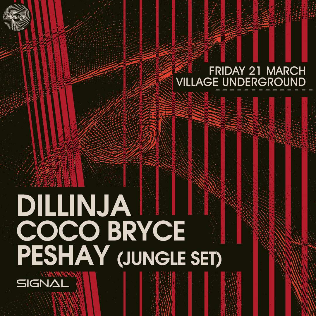 Dillinja, Coco Bryce, Peshay (Jungle Set) at Village Underground, London