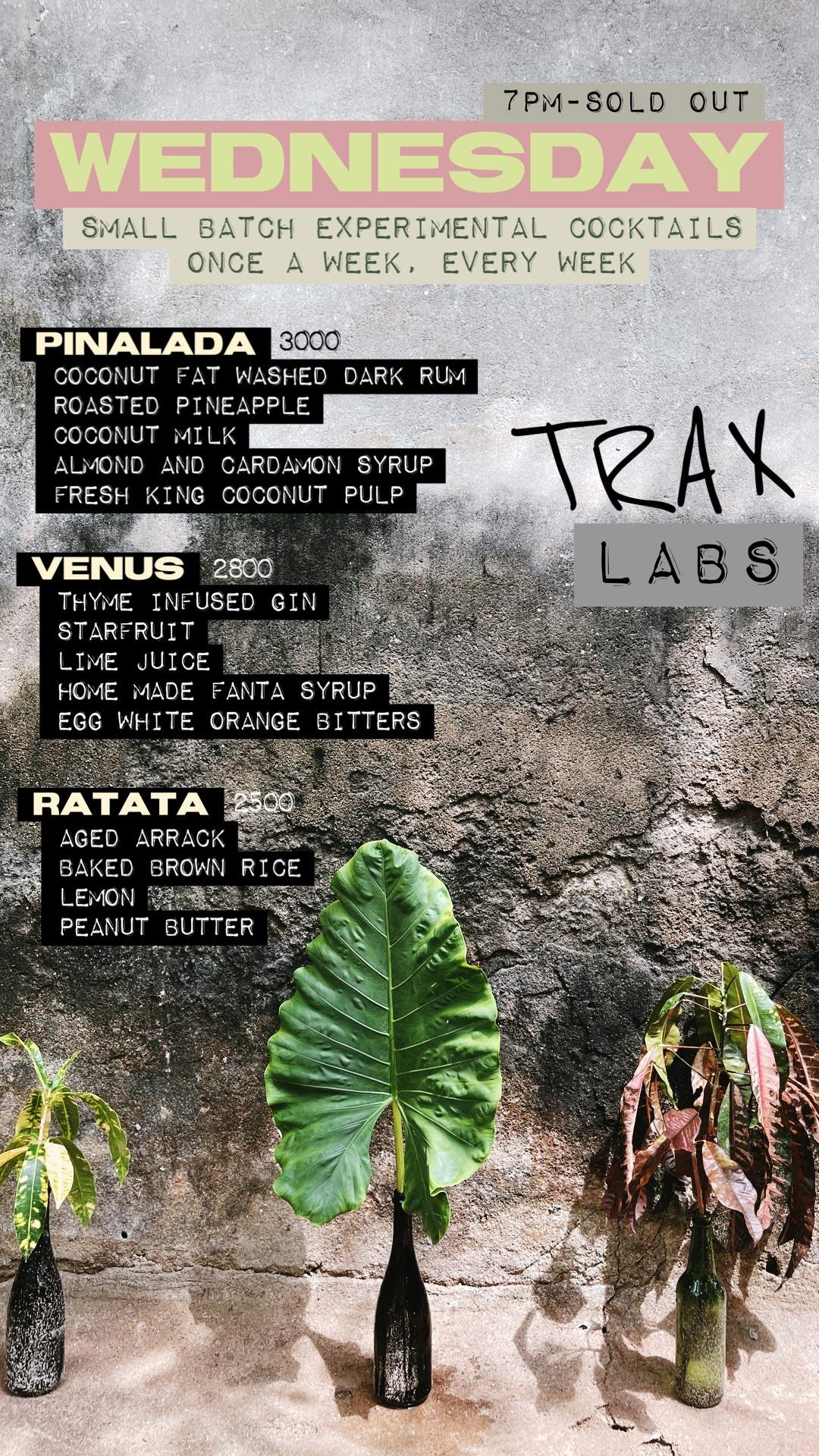 Reggae & Dub // Versa // Trax Labs at Trax Ahangama, Sri Lanka