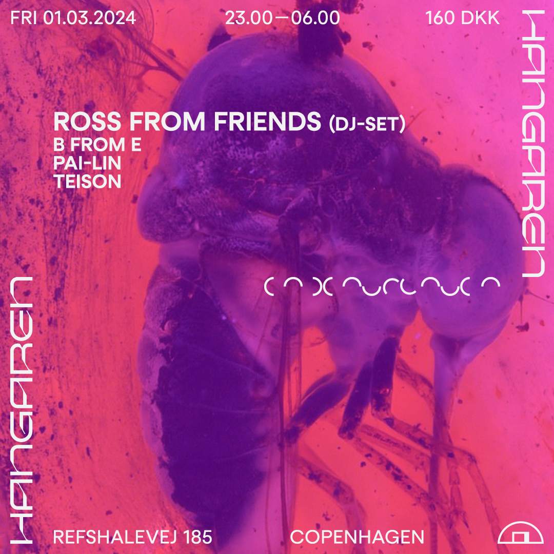 Ross From Friends (DJ-set), B From E, Pai-lin, Teison at Hangaren ...