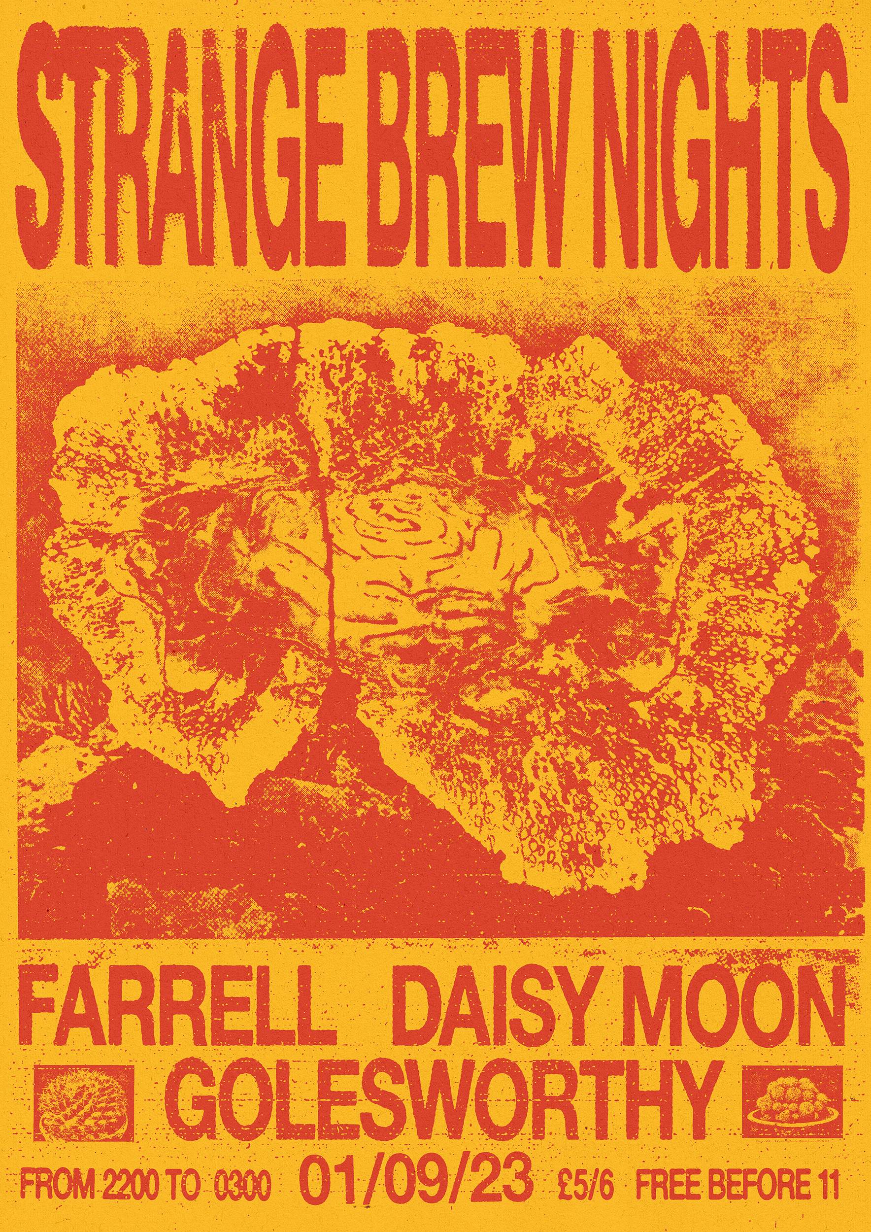 SB Nights with Farell, Daisy Moon, Golesworthy bei Strange Brew, Bristol