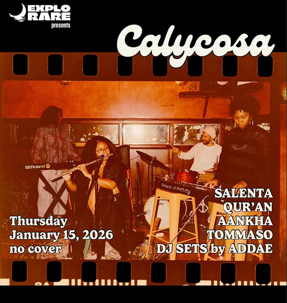 Calycosa at The Let's Go! Disco, Los Angeles