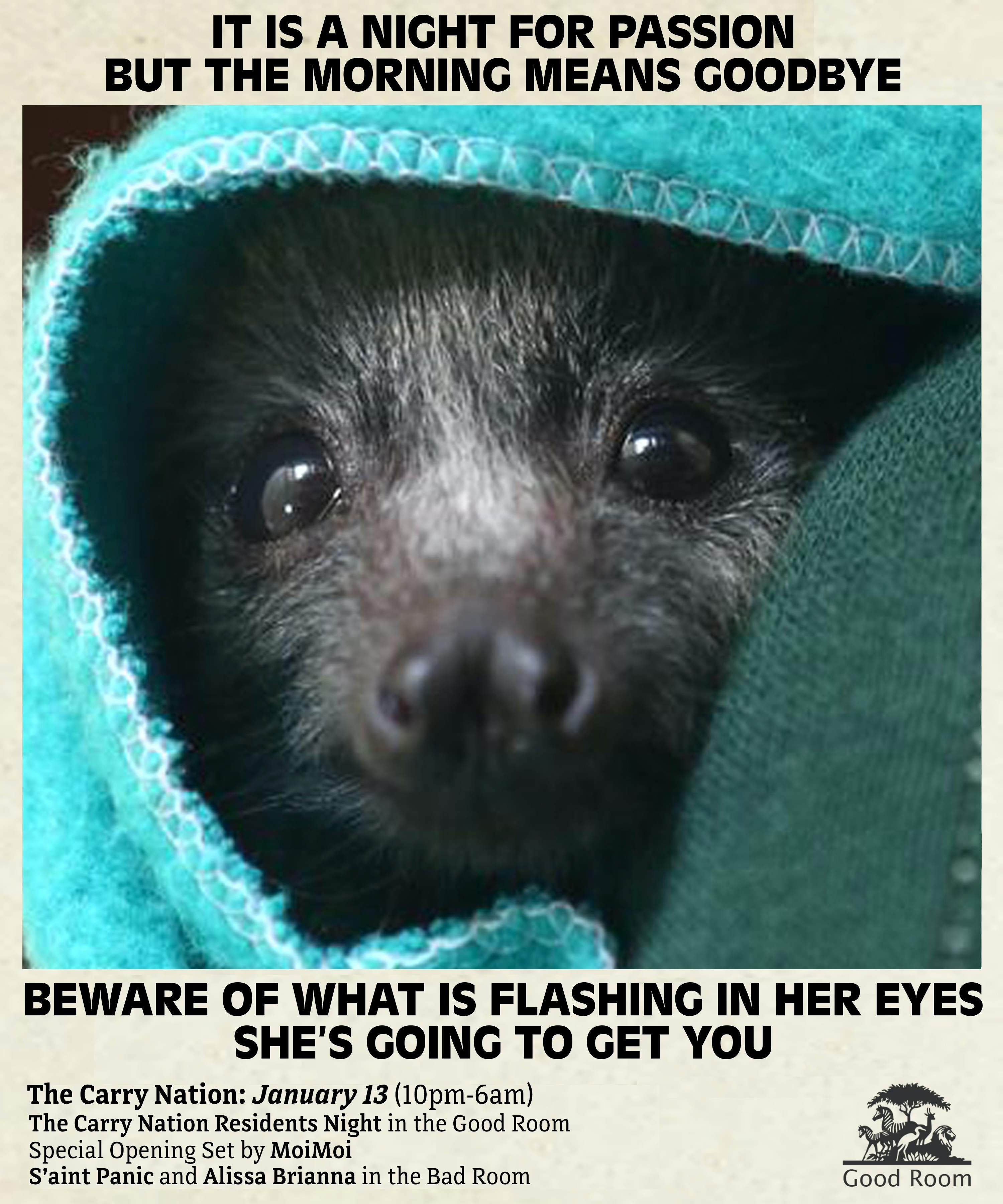 The Carry Nation January 2024 at Good Room, New York City